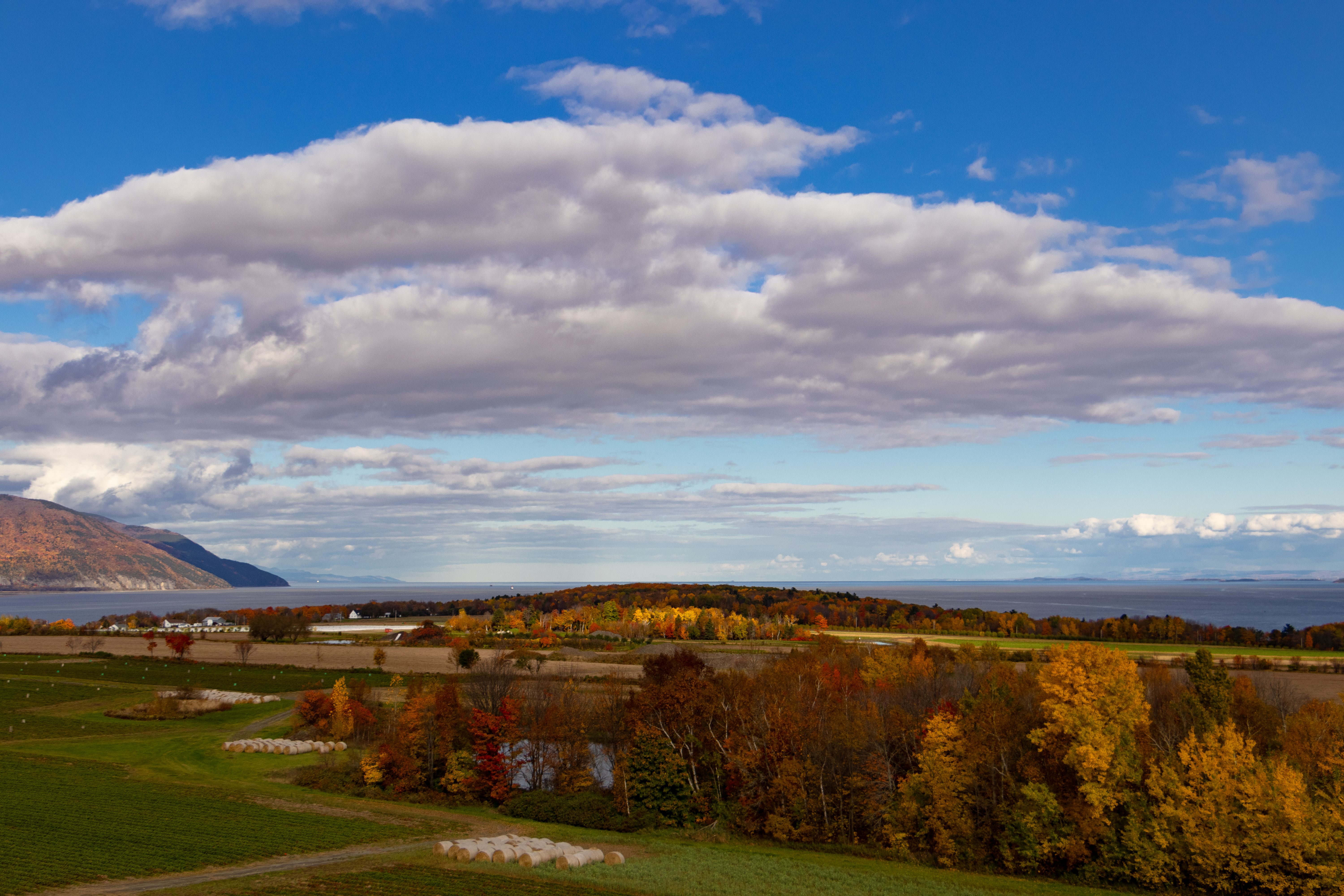 View of the Sea Autumnal Trees on the Shore · Free Stock Photo