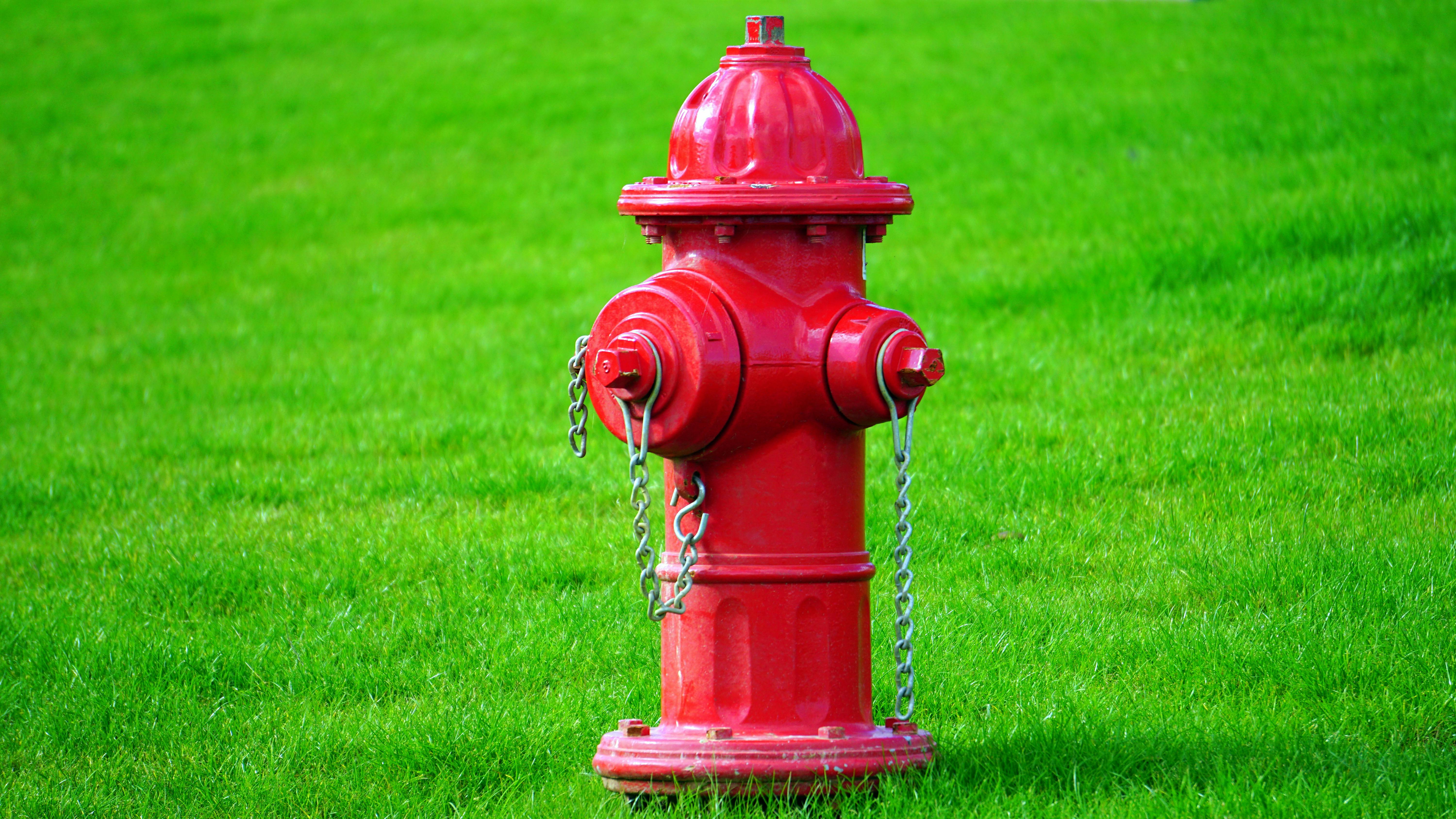4,000+ Best Fire Hydrant Photos · 100% Free Download · Pexels Stock Photos