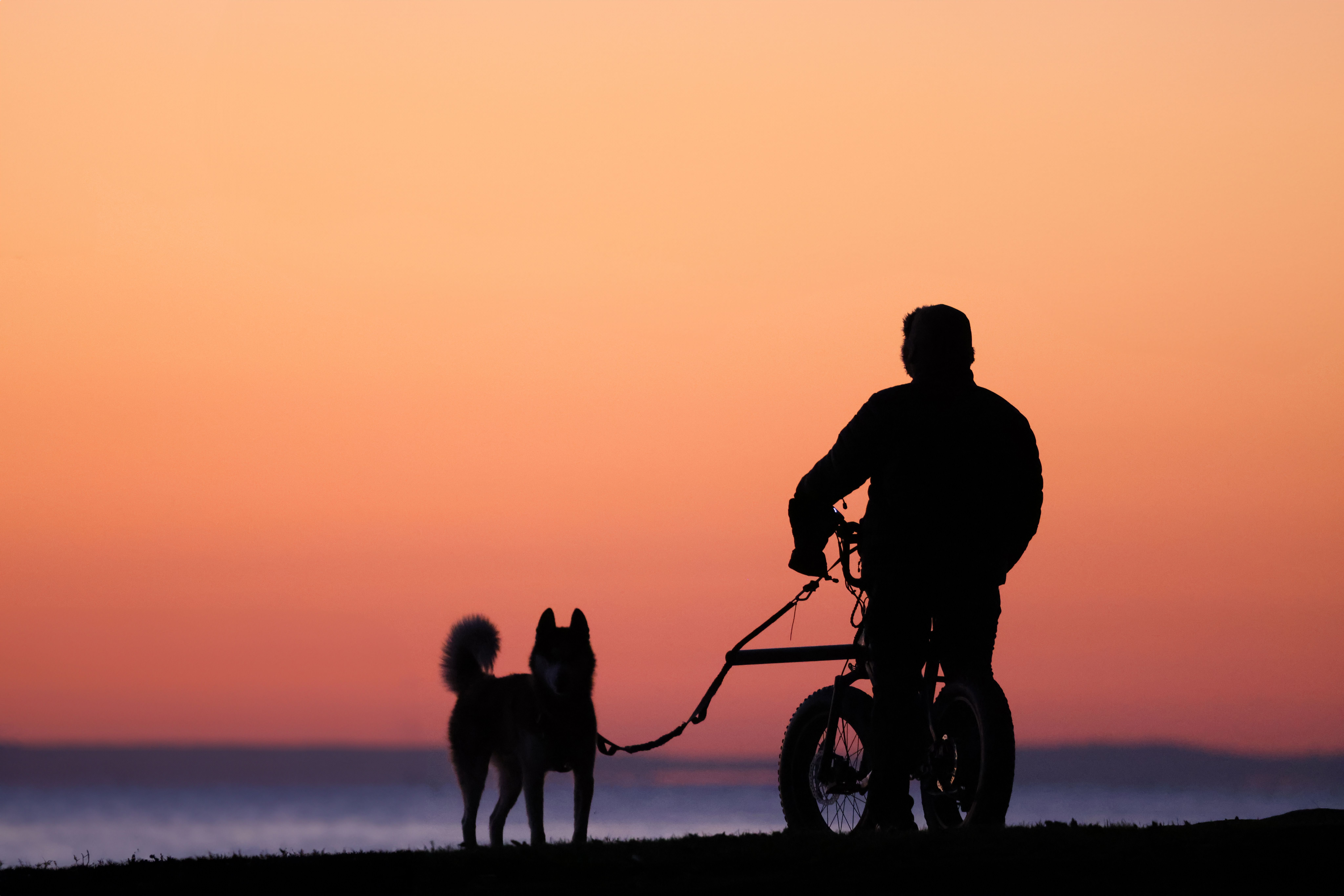 Silhouette of Man with Dog on Sea Shore at Dusk · Free Stock Photo