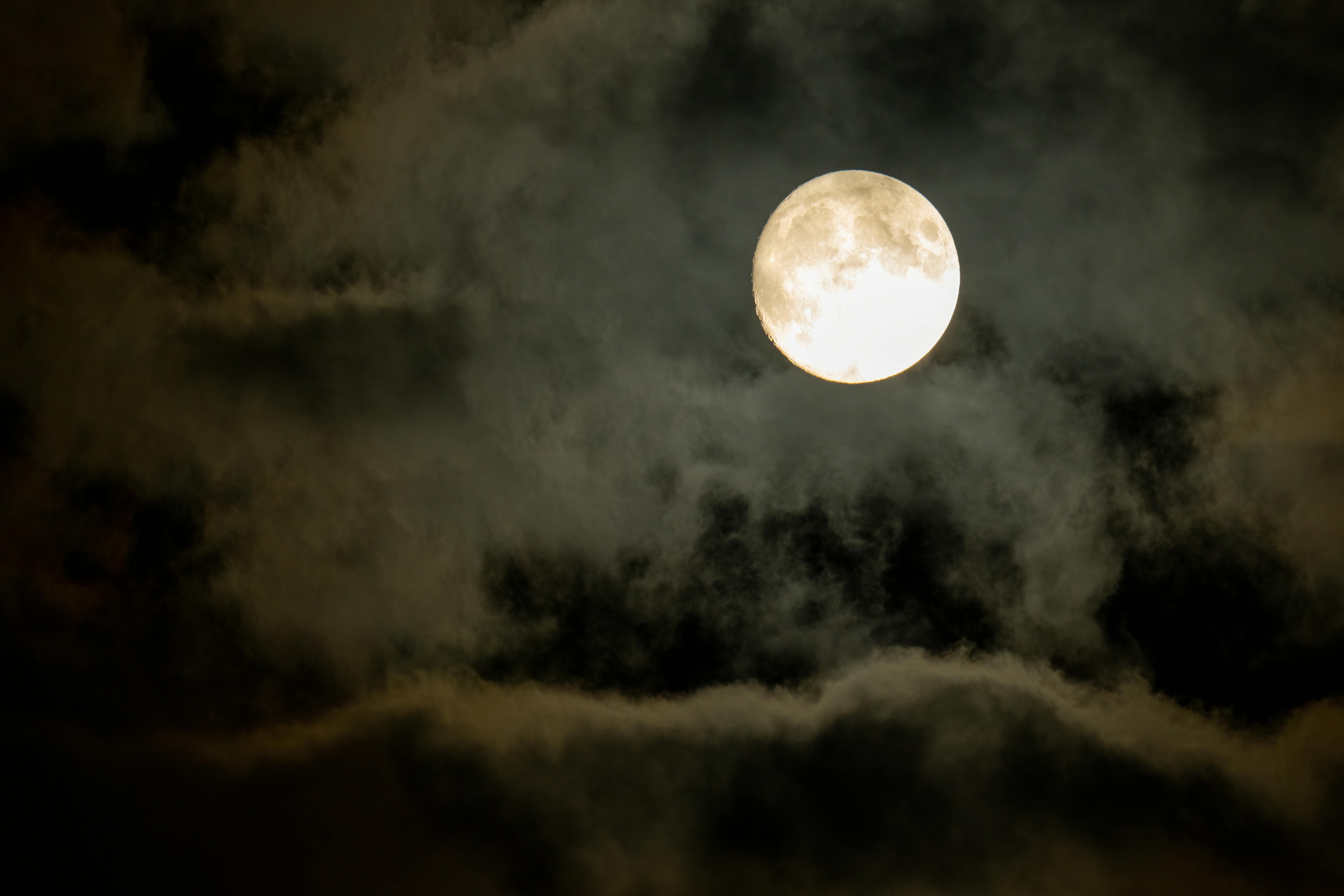 Full Moon · Free Stock Photo