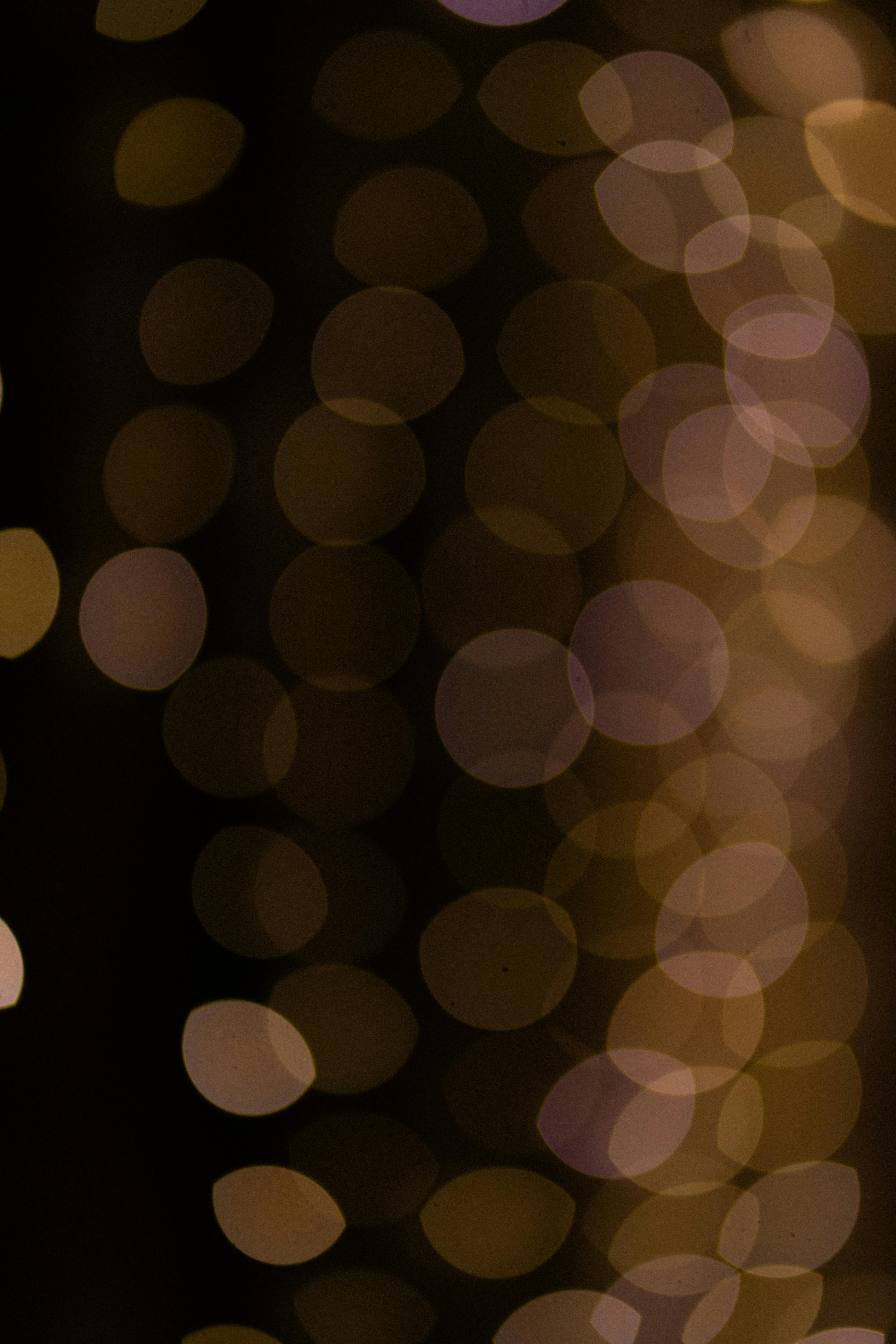 Spot Lights Background Photos, Download The BEST Free Spot Lights ...