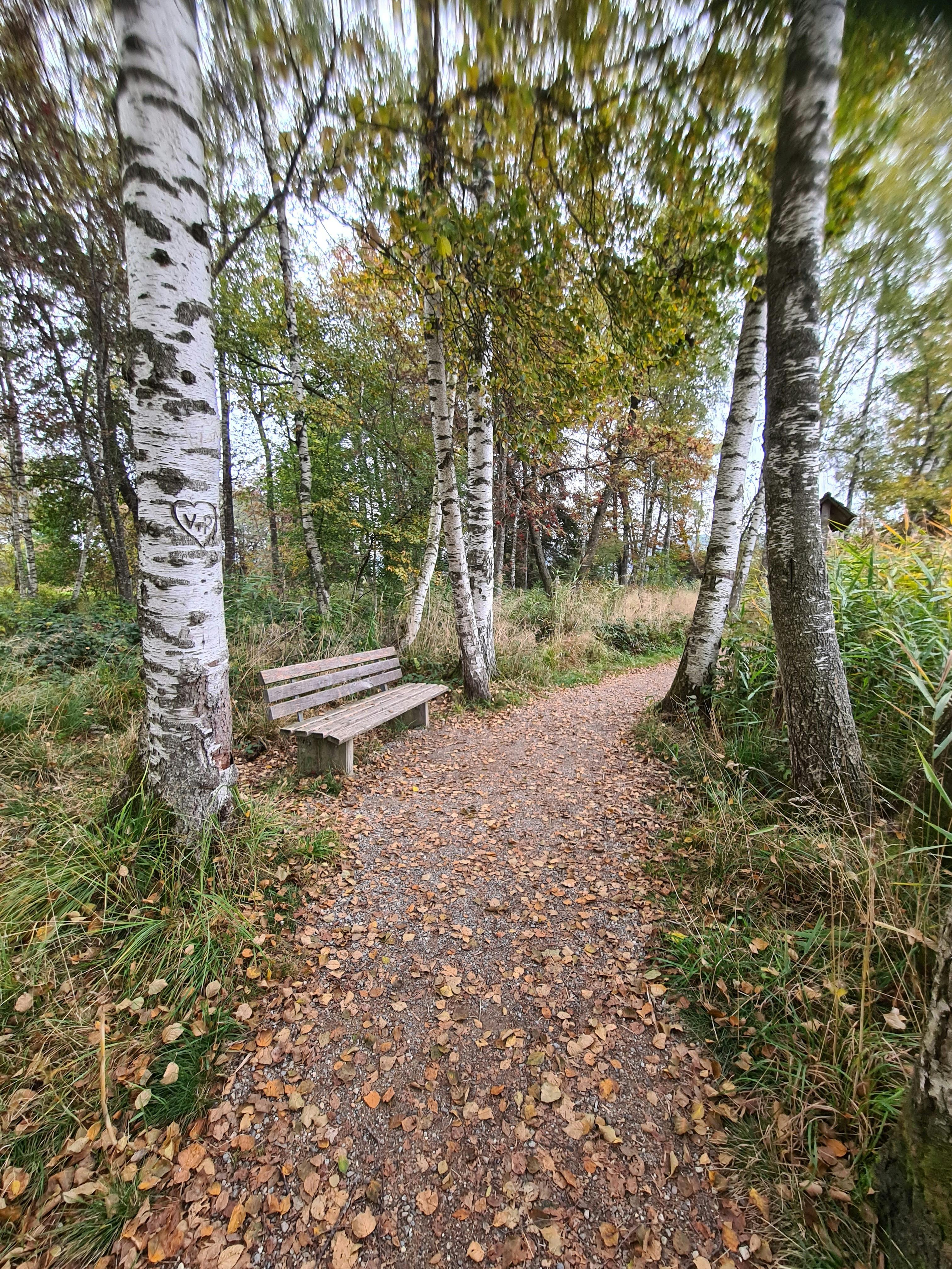 Footpath with a Bench in a Park · Free Stock Photo