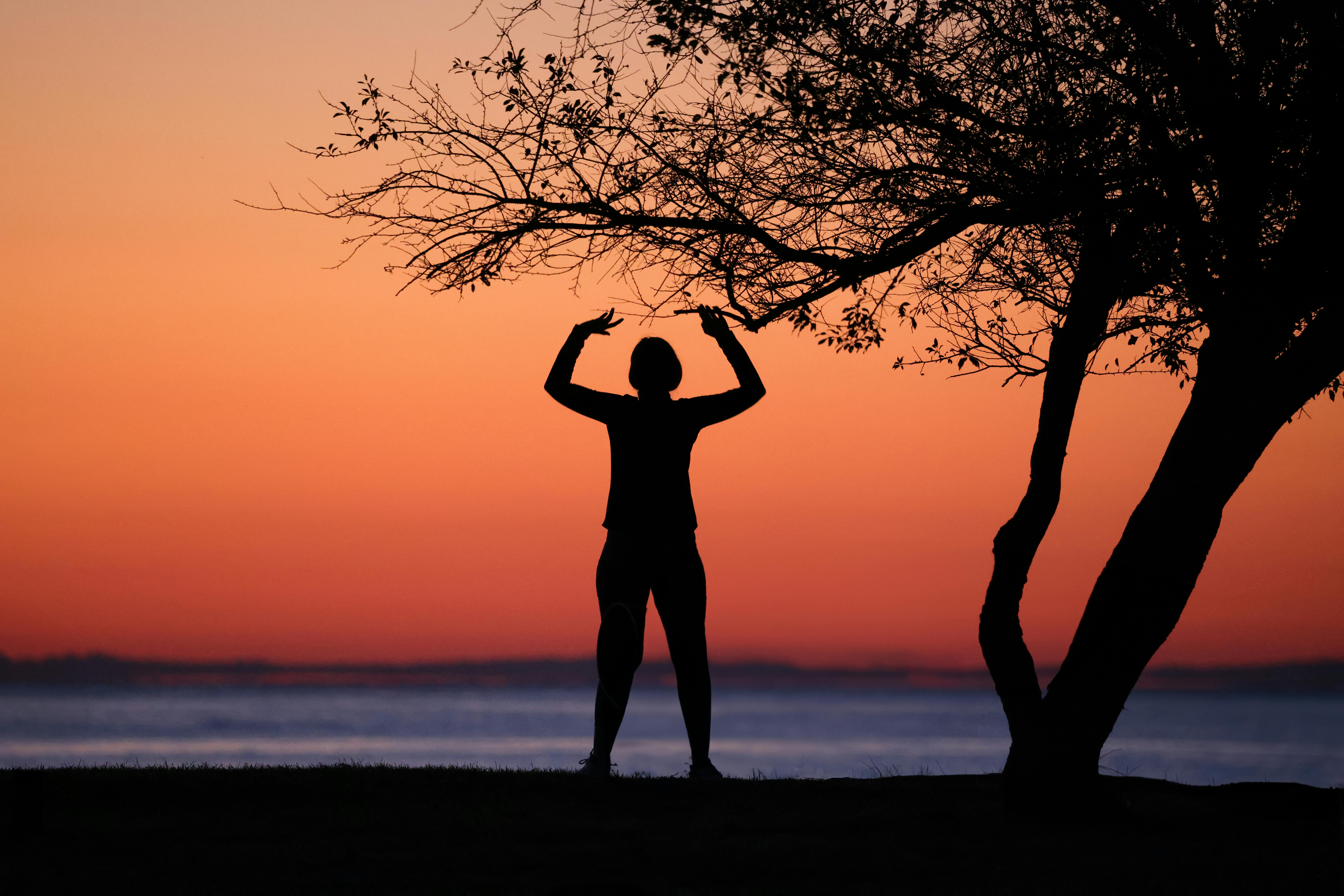 Stretching Person by Tree · Free Stock Photo