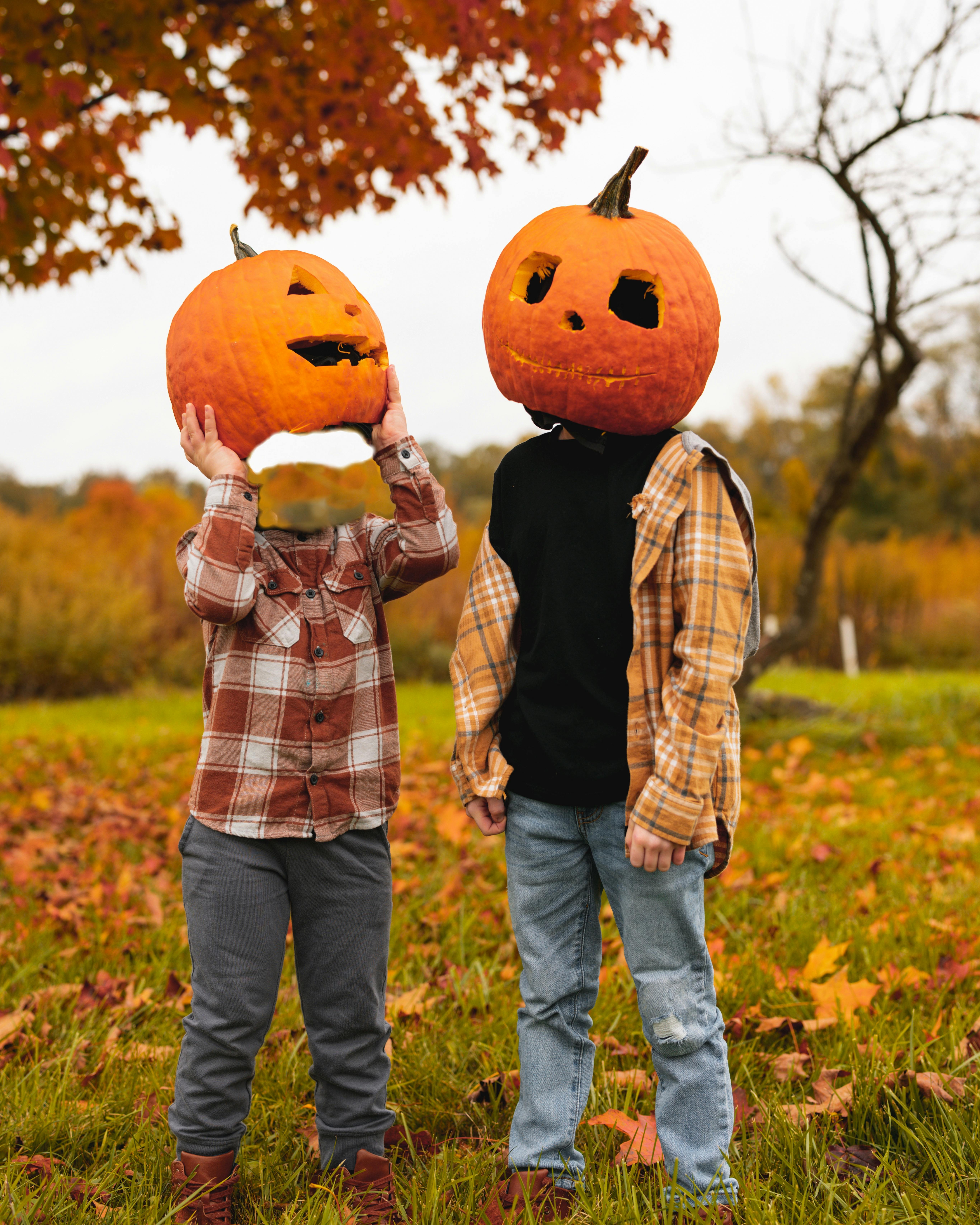 People with Pumpkin Heads for Halloween · Free Stock Photo
