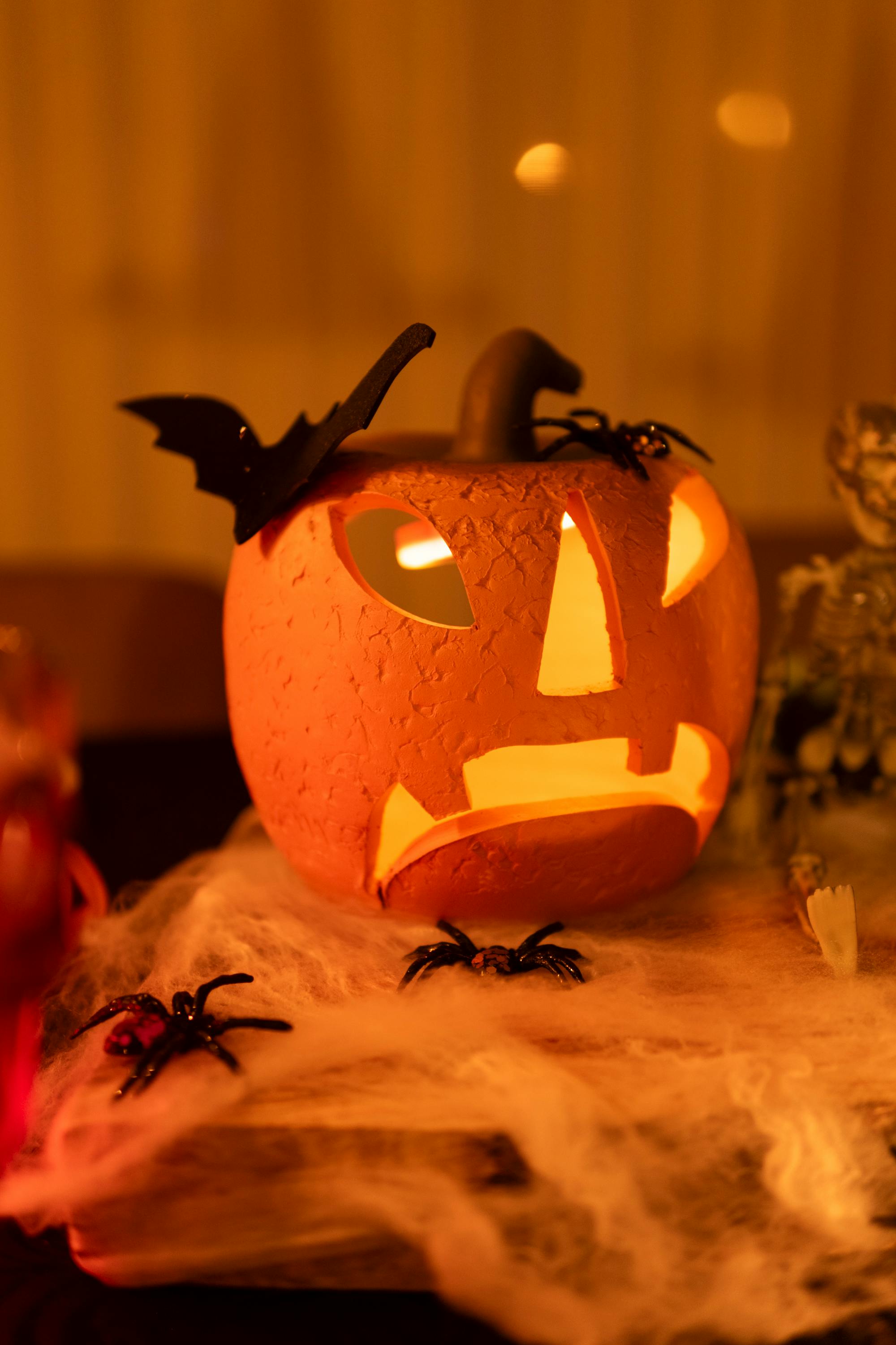 Cursed Bat Photos, Download The BEST Free Cursed Bat Stock Photos & HD ...