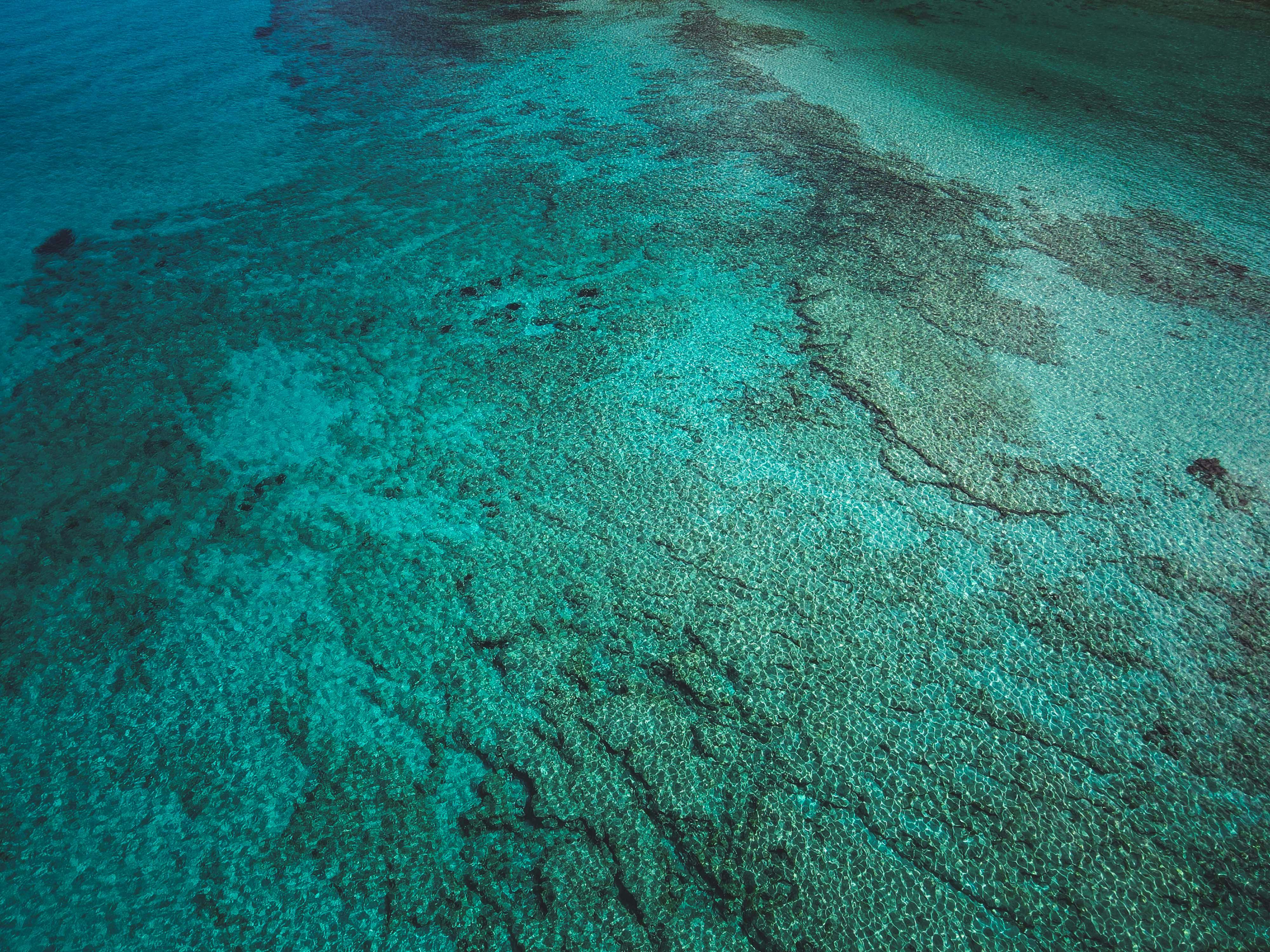 Photo of a Turquoise Seabed with Texture · Free Stock Photo
