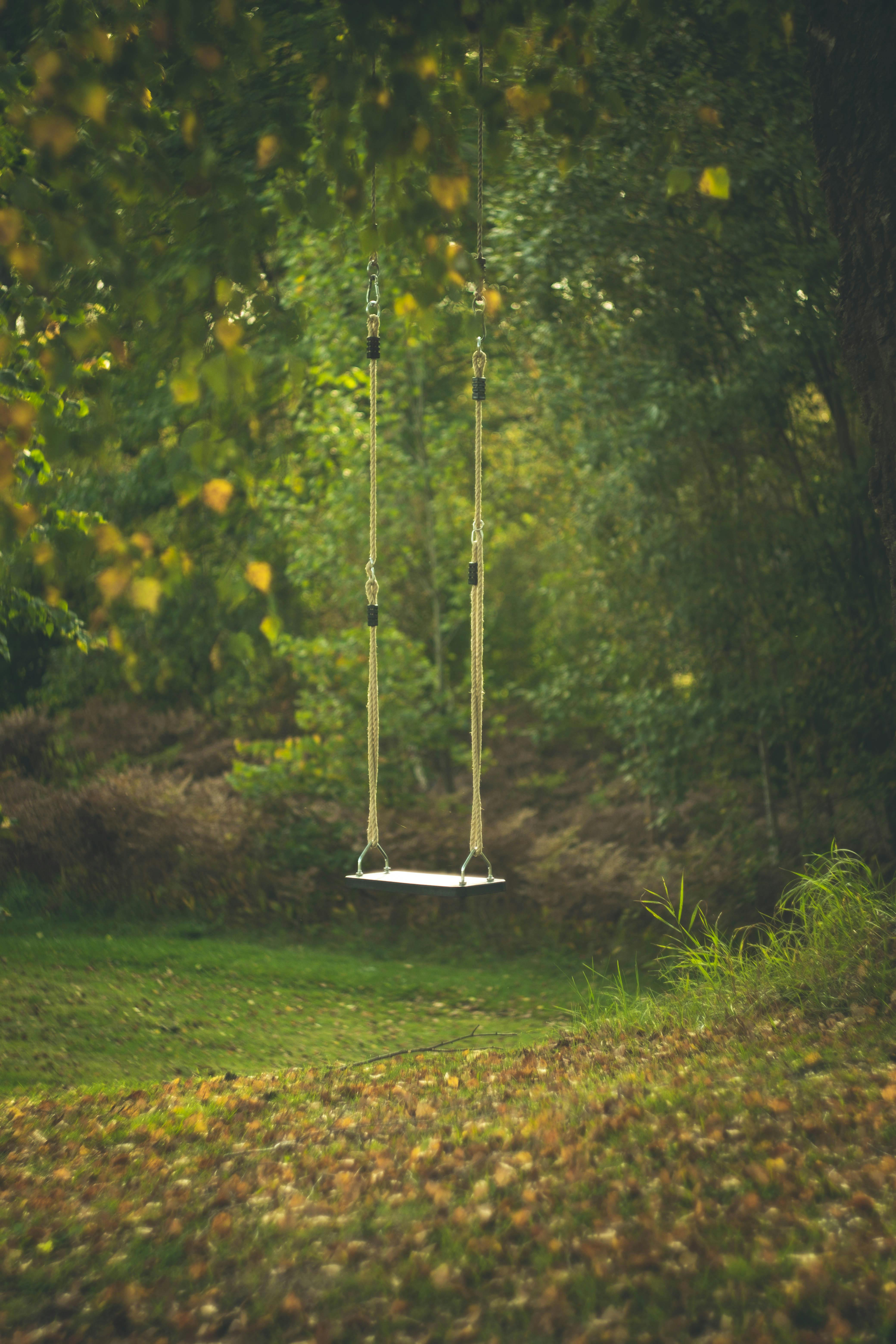 Woman Swinging on Swing with View of Tropical Forest · Free Stock Photo