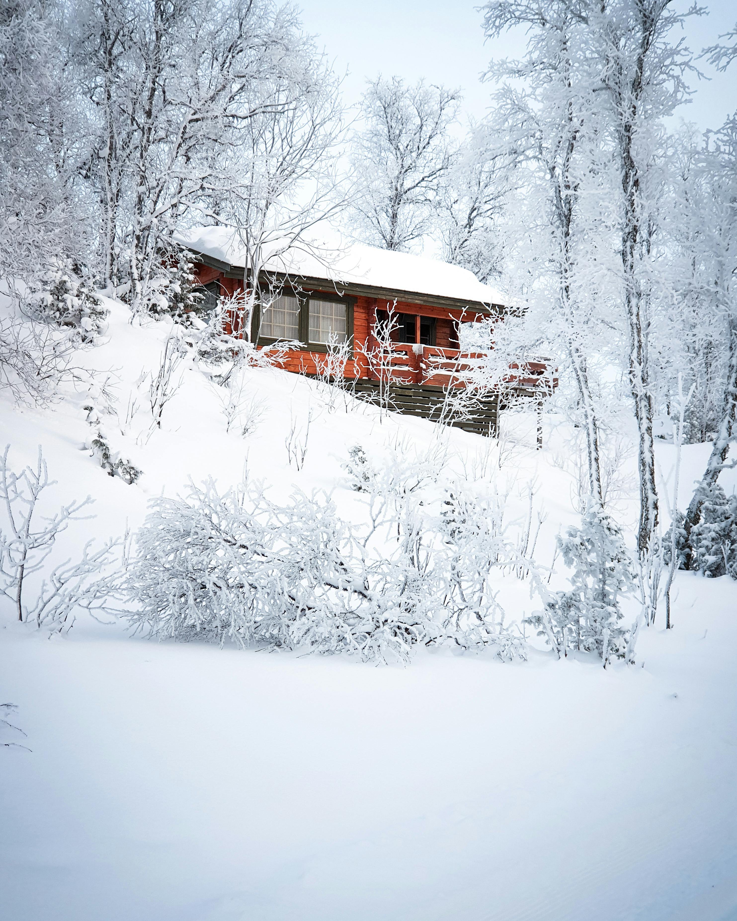 House Covered in Snow · Free Stock Photo
