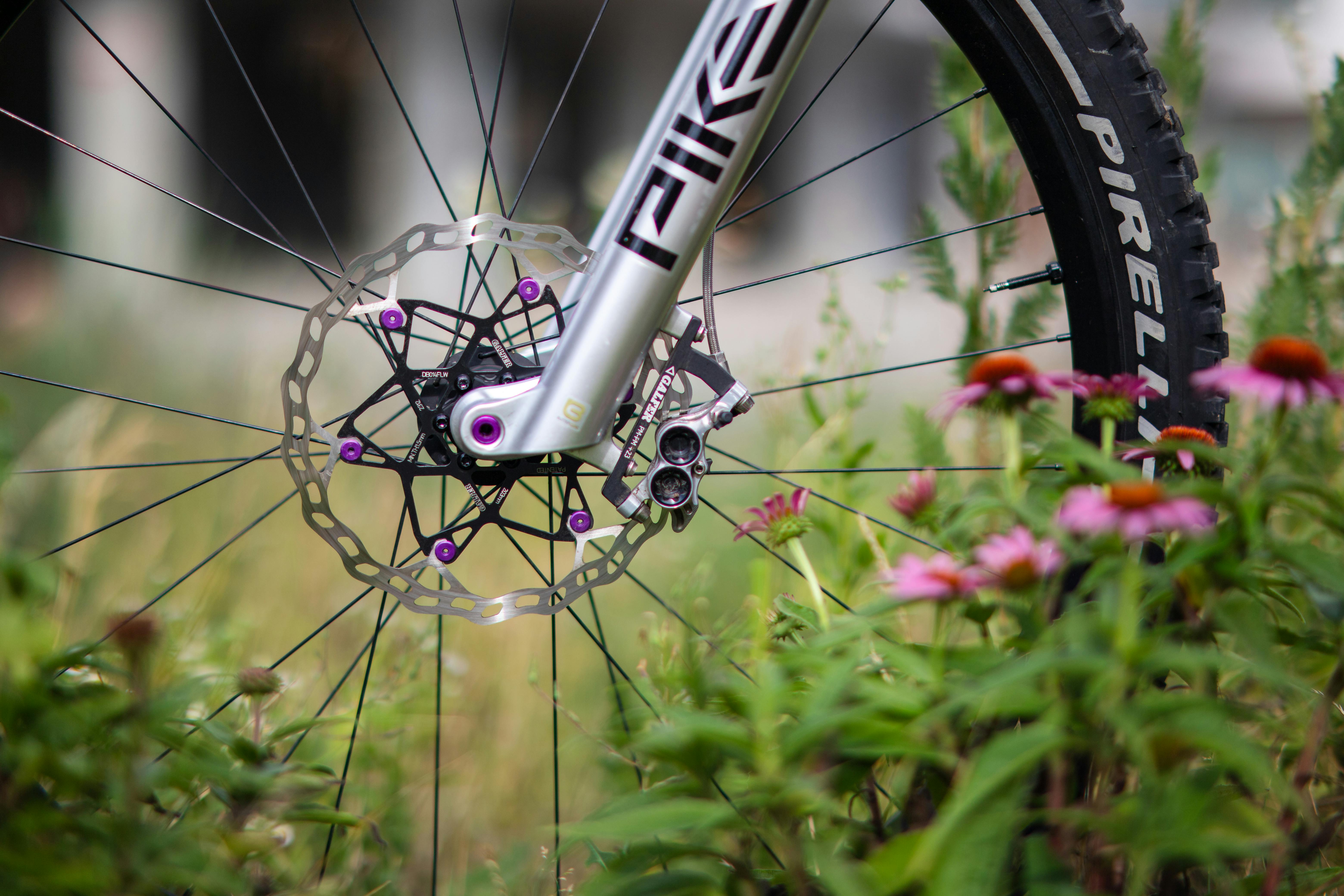 Pakistani Bicycle Photos, Download The BEST Free Pakistani Bicycle ...