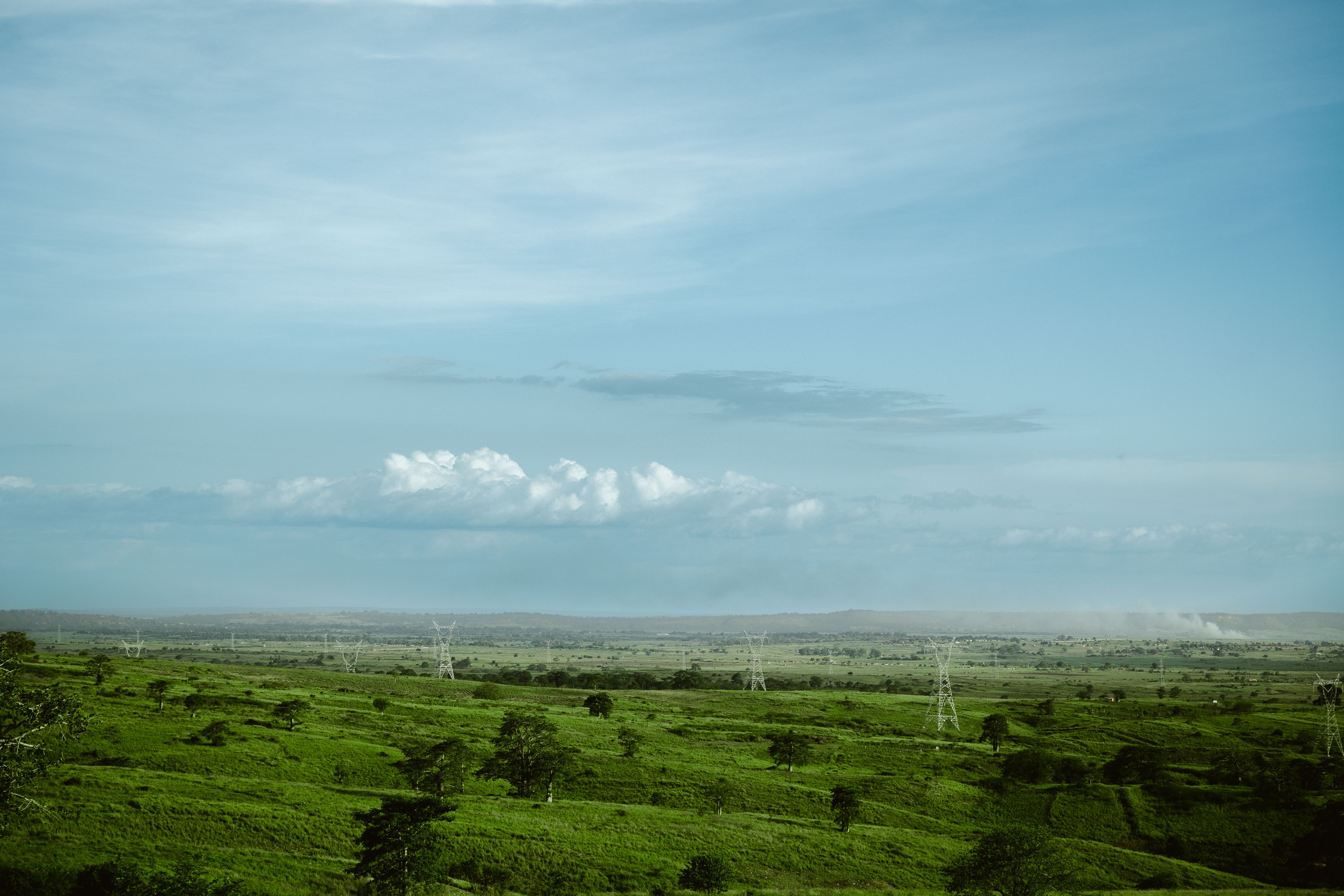 Grassy Plains Photos, Download The BEST Free Grassy Plains Stock Photos ...