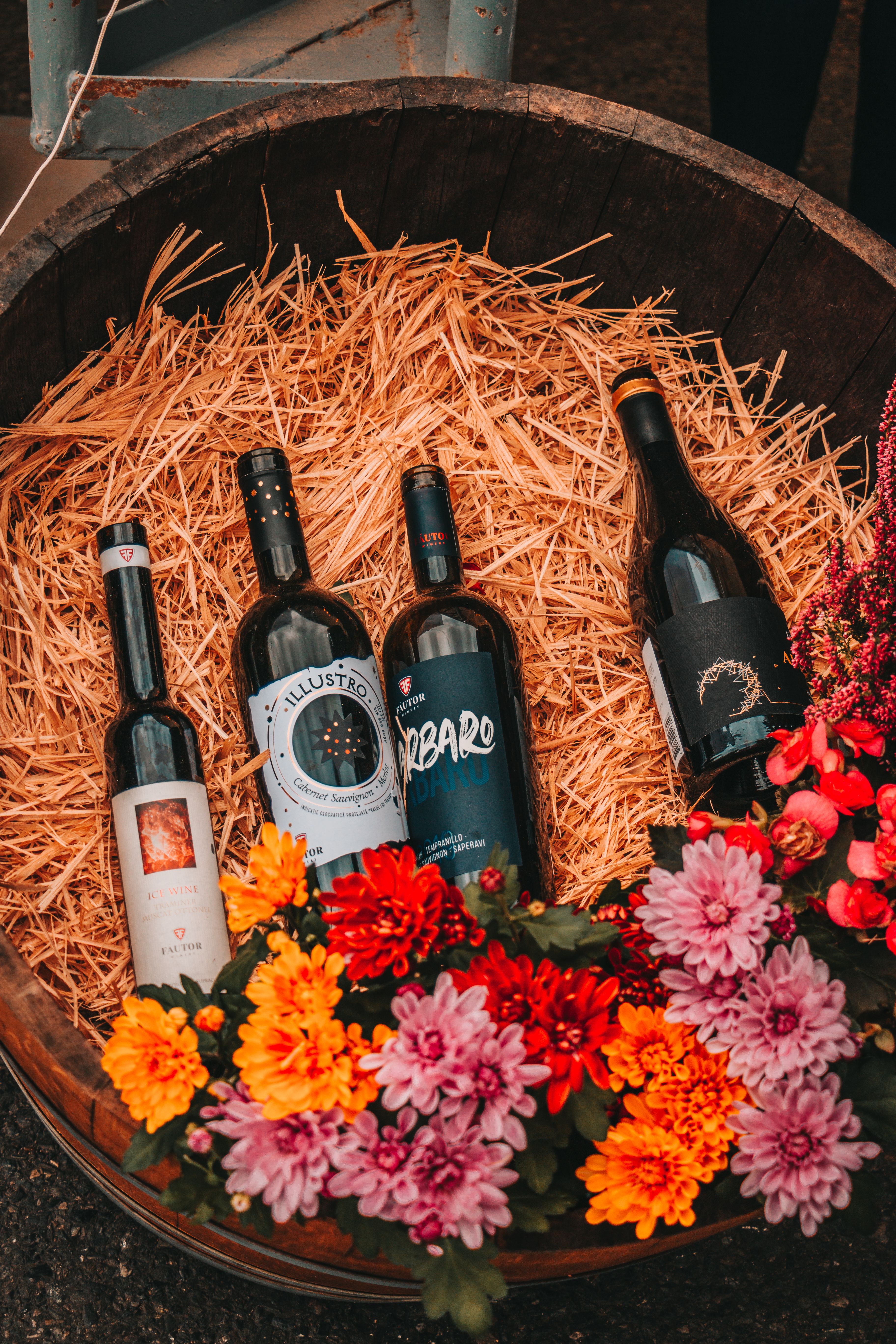 Bottles of Wine and Flowers in Pot · Free Stock Photo