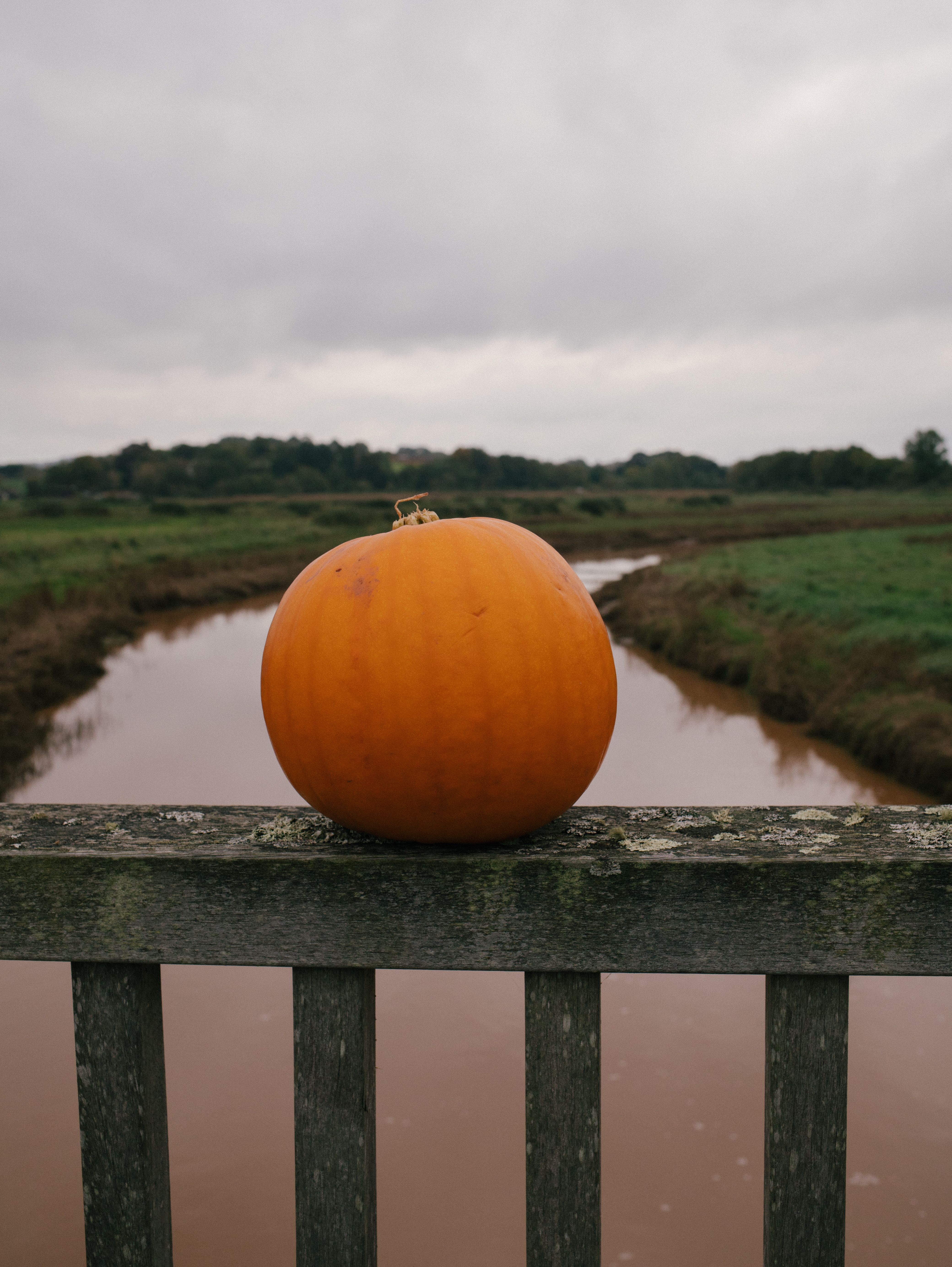 Pumpkin on Railing over River · Free Stock Photo