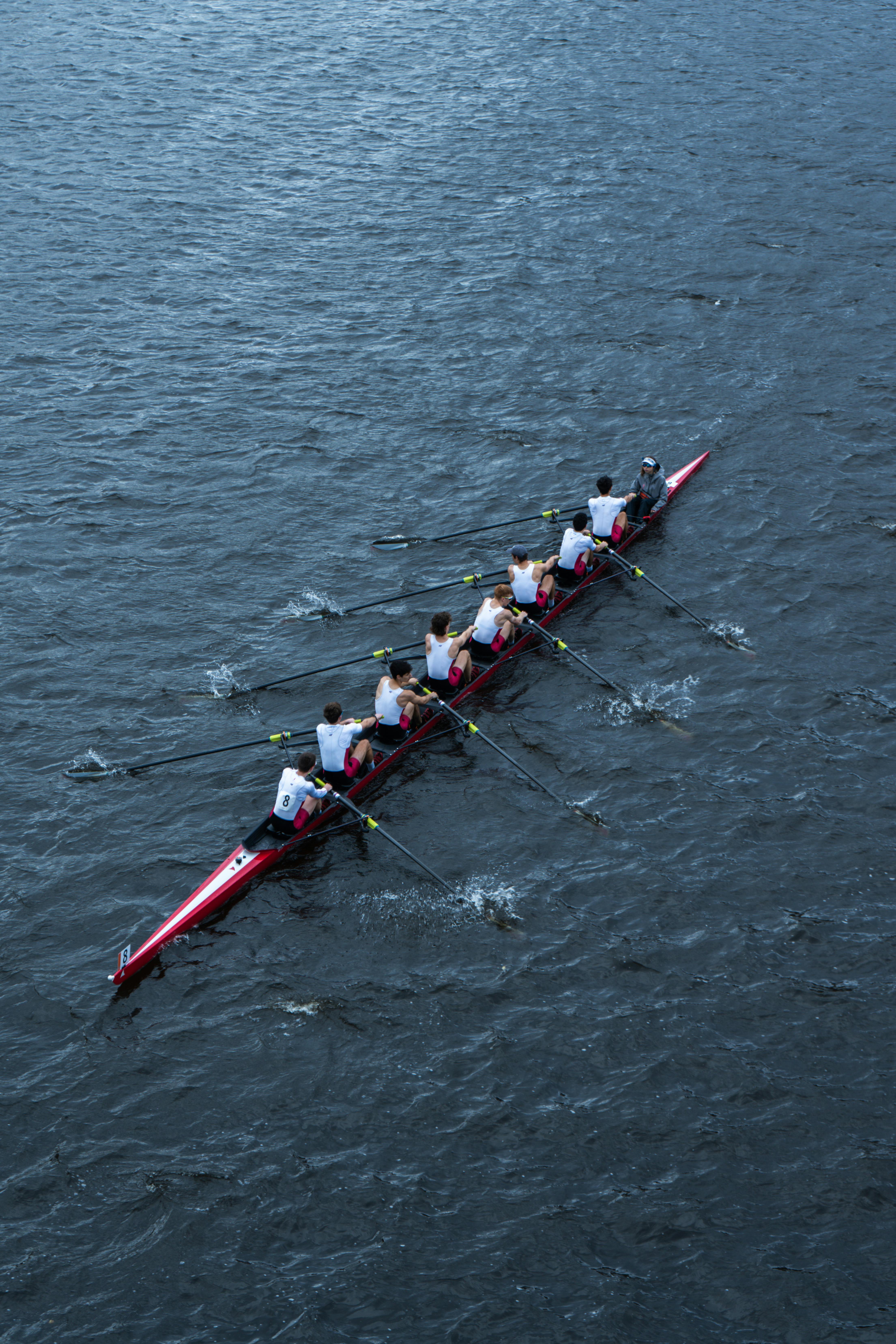Rowing Team Photos, Download The BEST Free Rowing Team Stock Photos ...