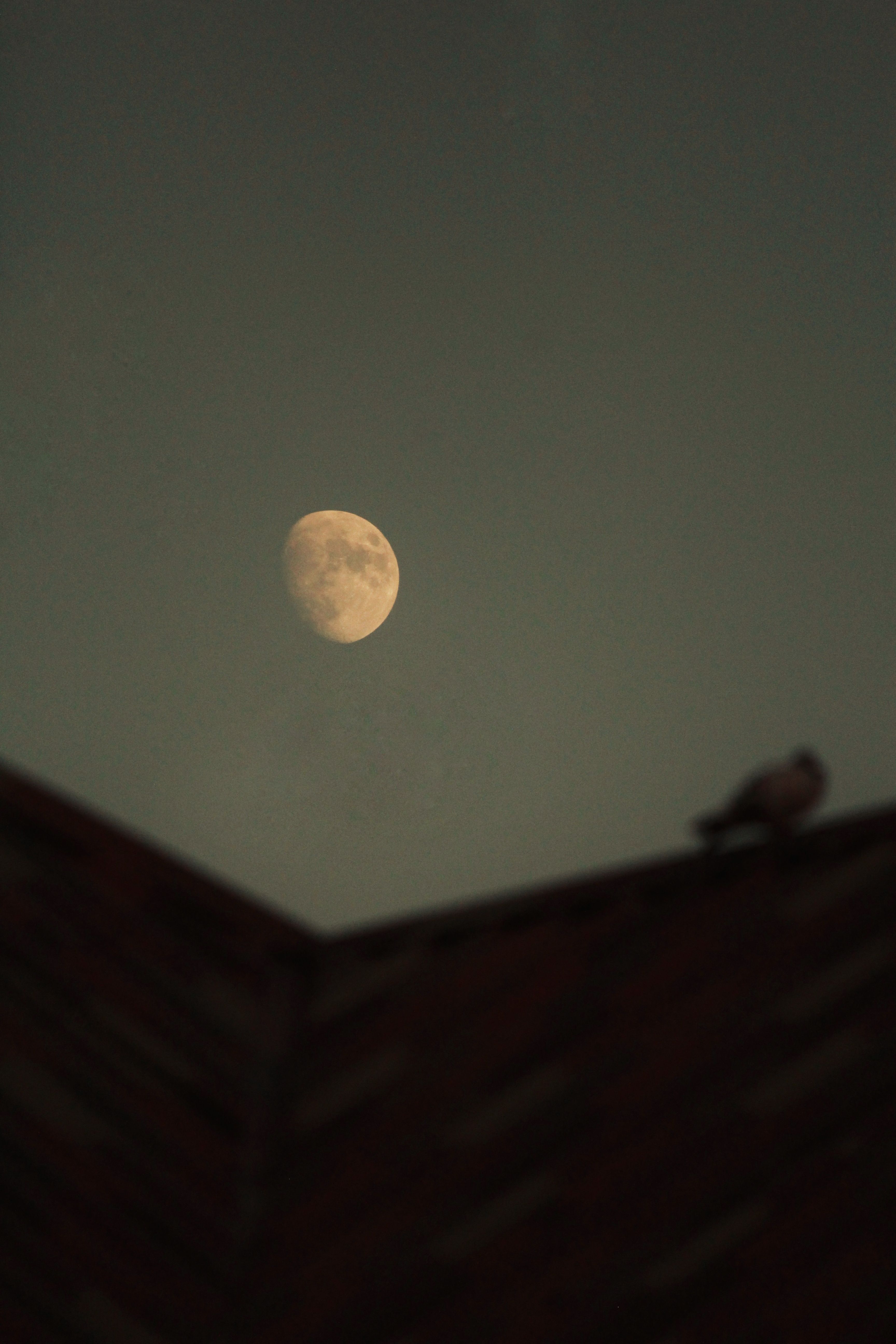 The Moon in the Night Sky · Free Stock Photo