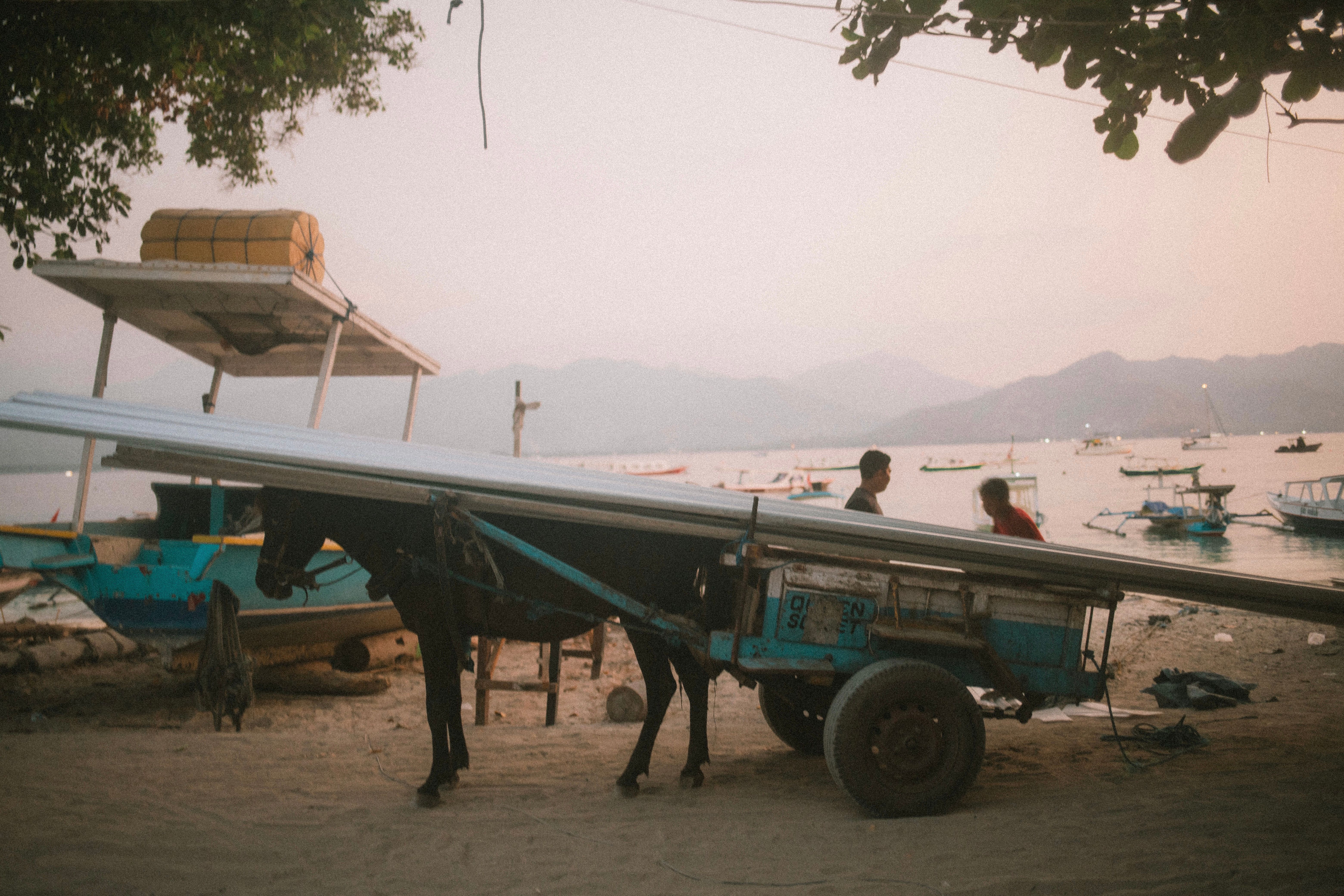 Donkey Hauling a Cart with a Pile of Wooden Planks · Free Stock Photo