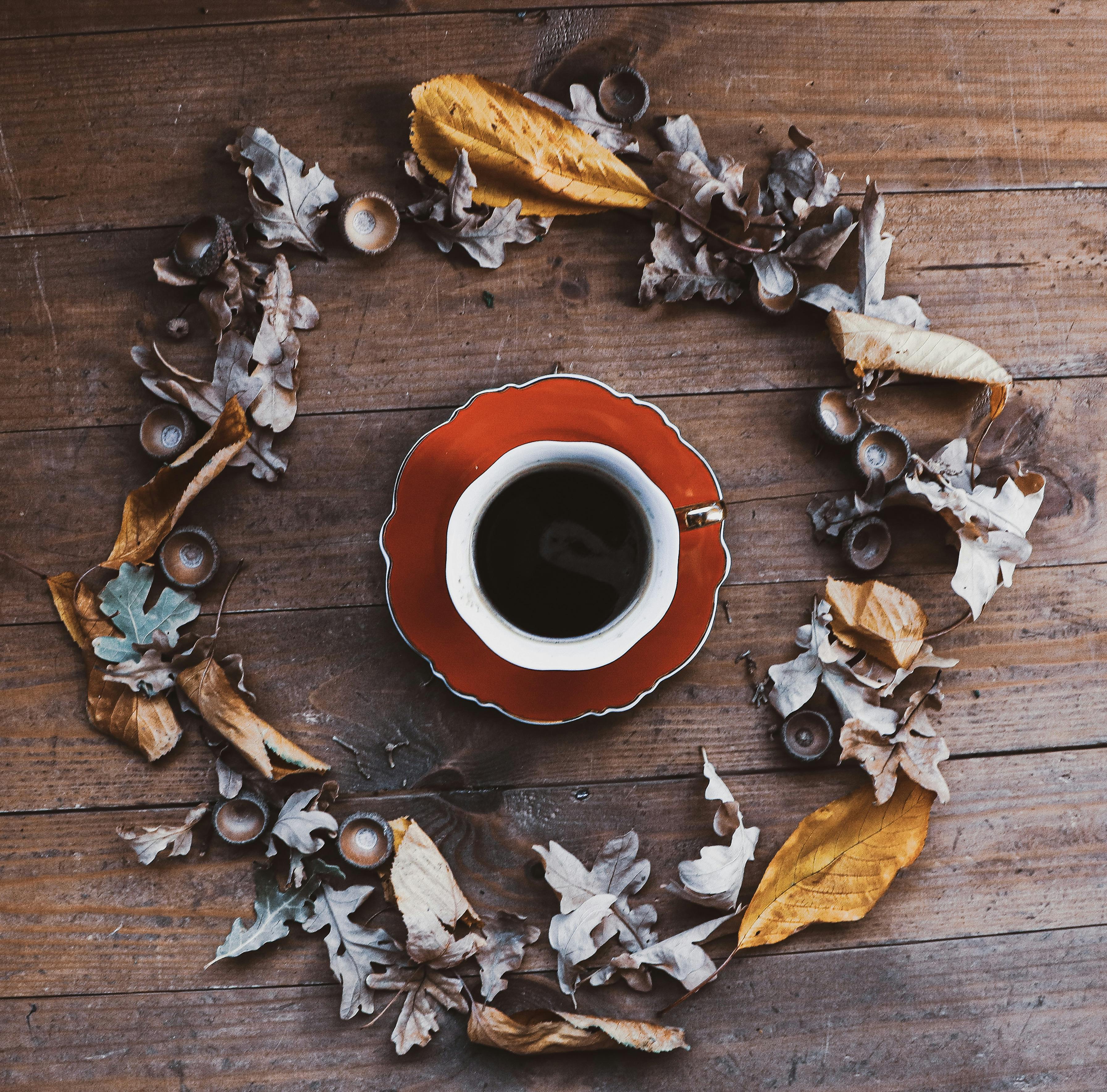 A Cup of Tea in a Circle Made from Dry Leaves · Free Stock Photo