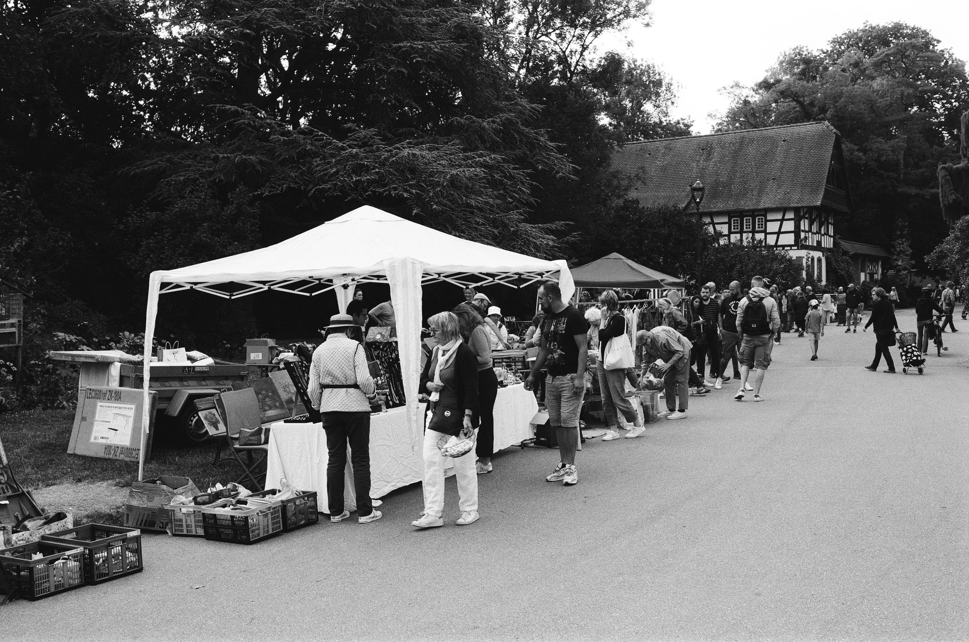 Stalls In Photos, Download The BEST Free Stalls In Stock Photos & HD Images