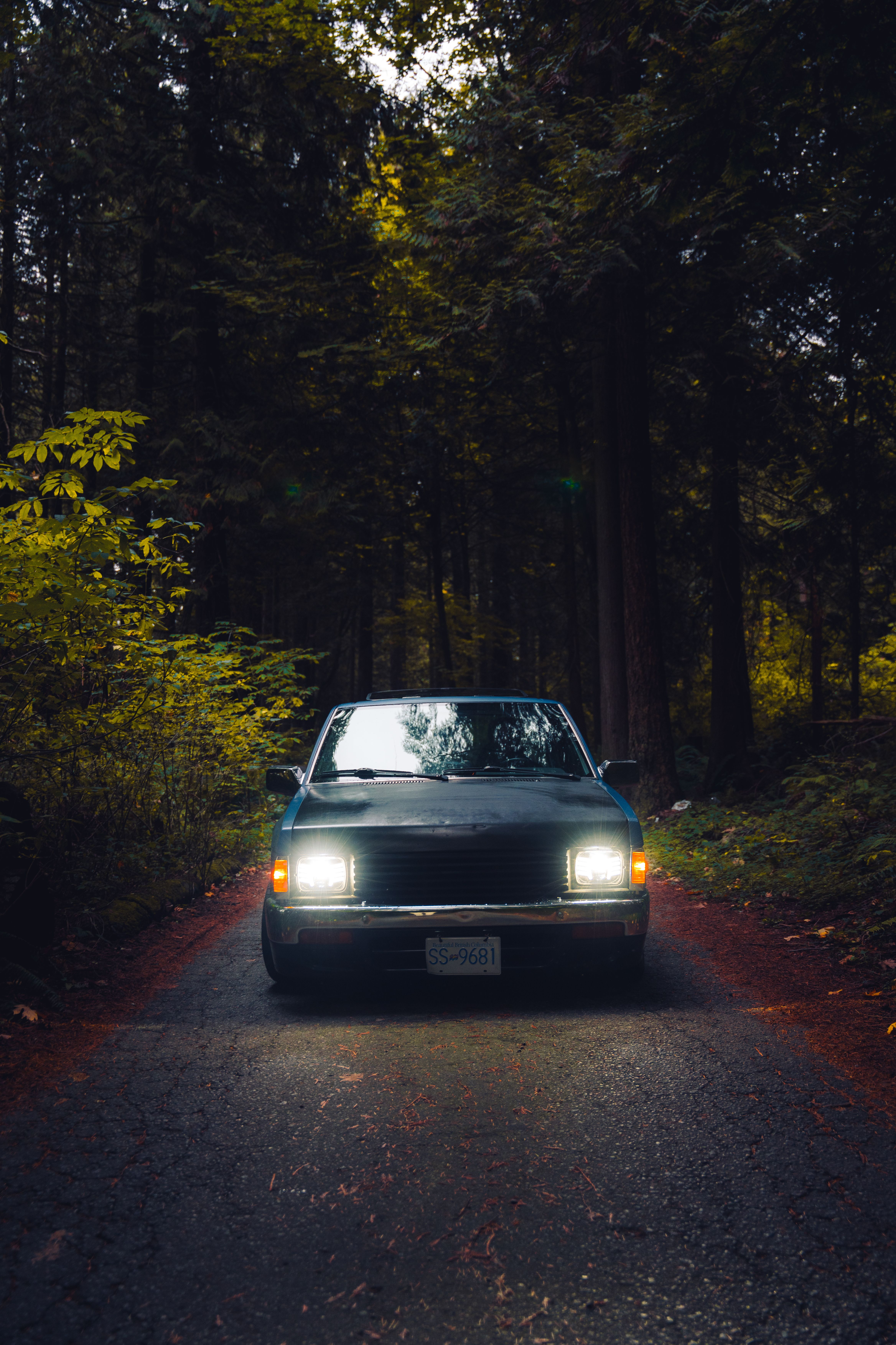 A Nissan Truck on the Road in the Forest · Free Stock Photo