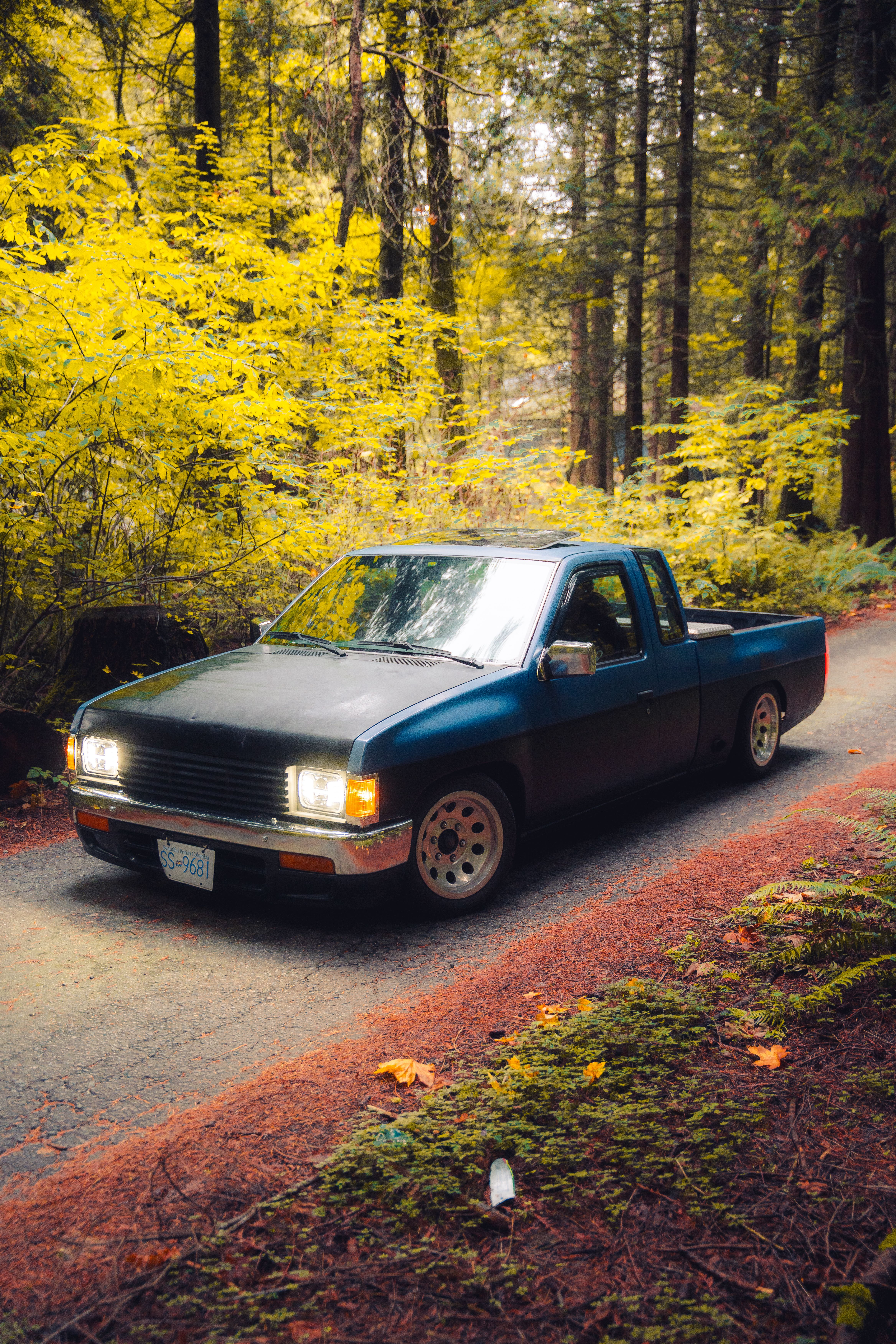 Blue Car on a Road in a Forest · Free Stock Photo