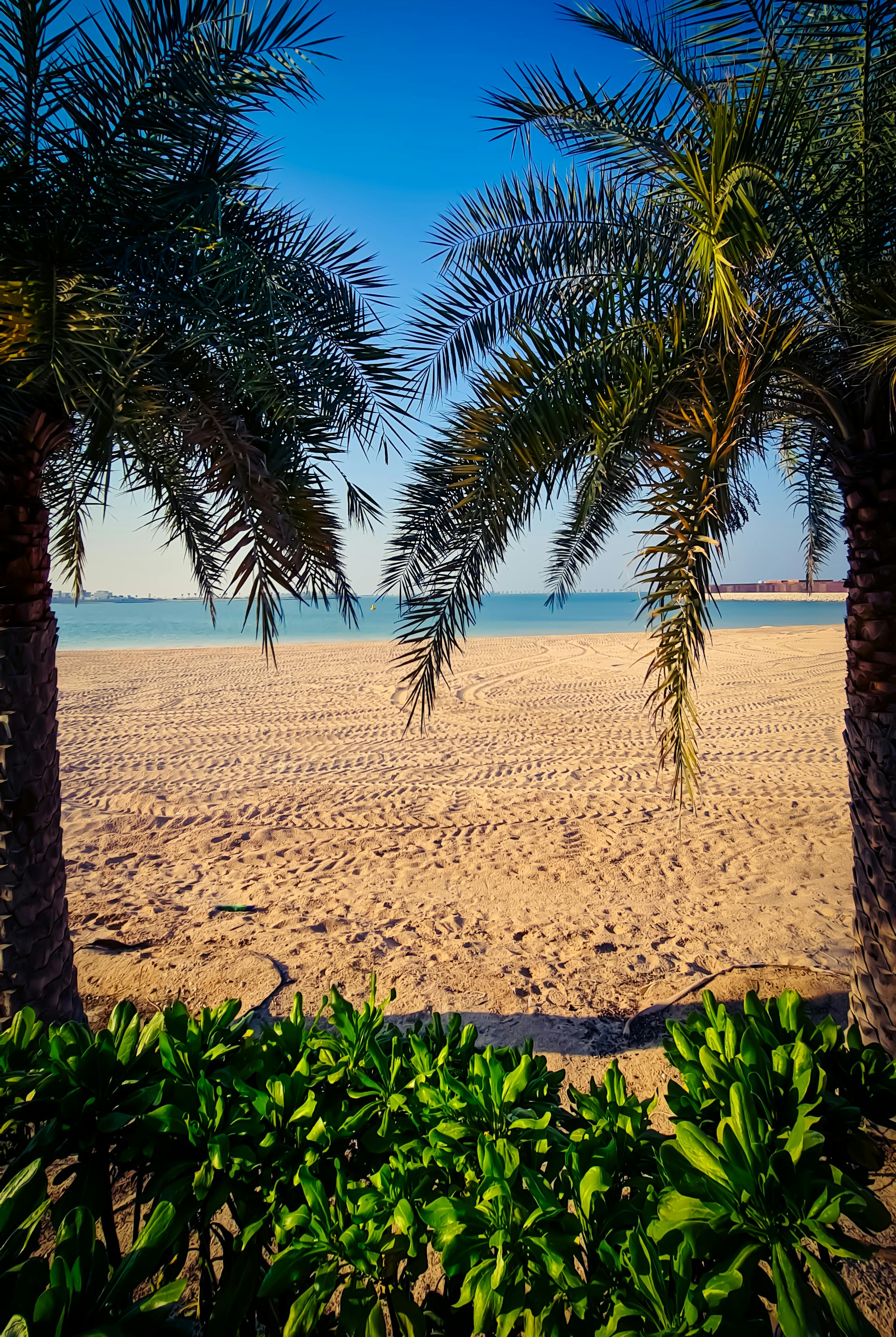 Hashim Abbas - 摄影