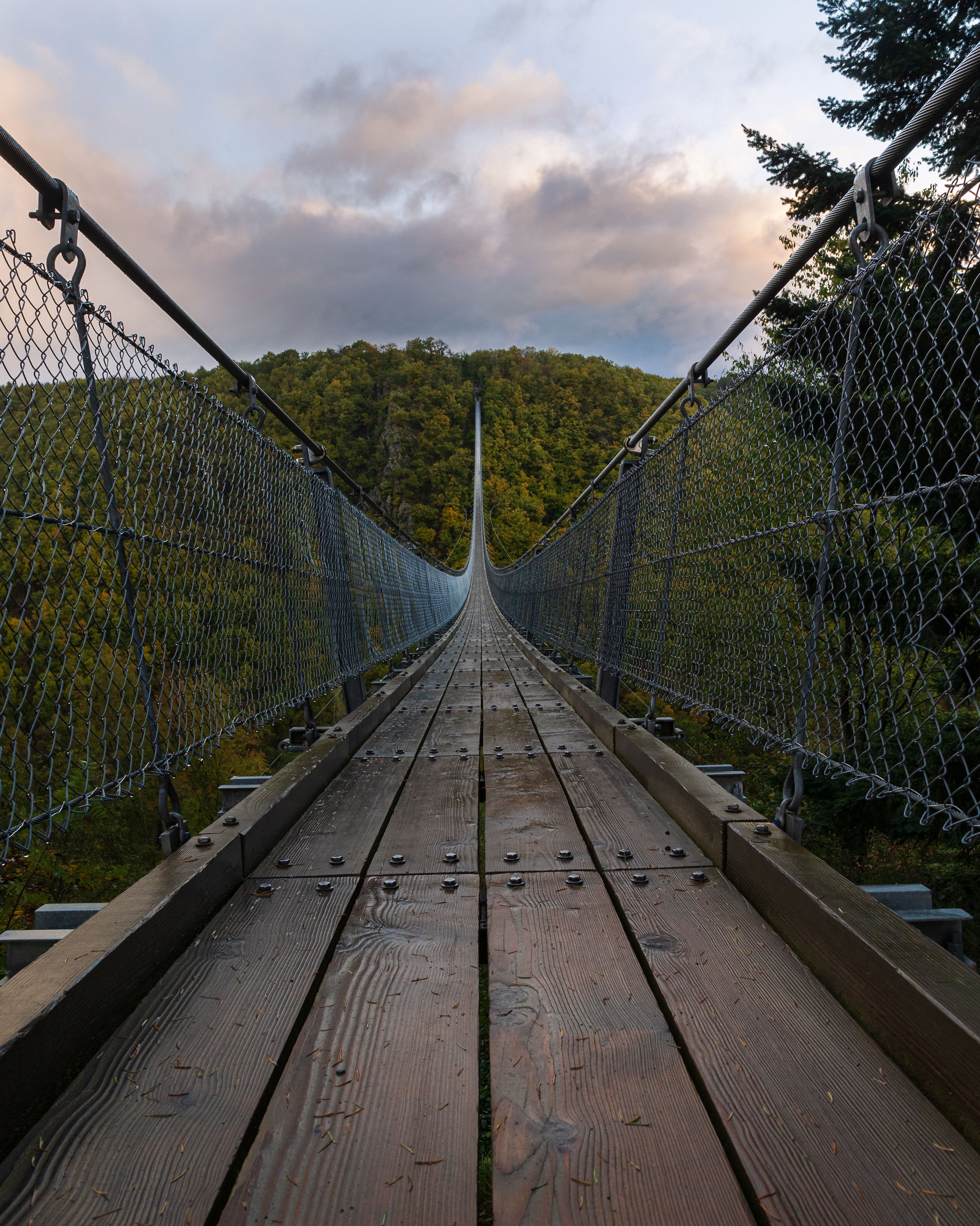 Geierlay Suspension Bridge in Sosberg, Germany · Free Stock Photo