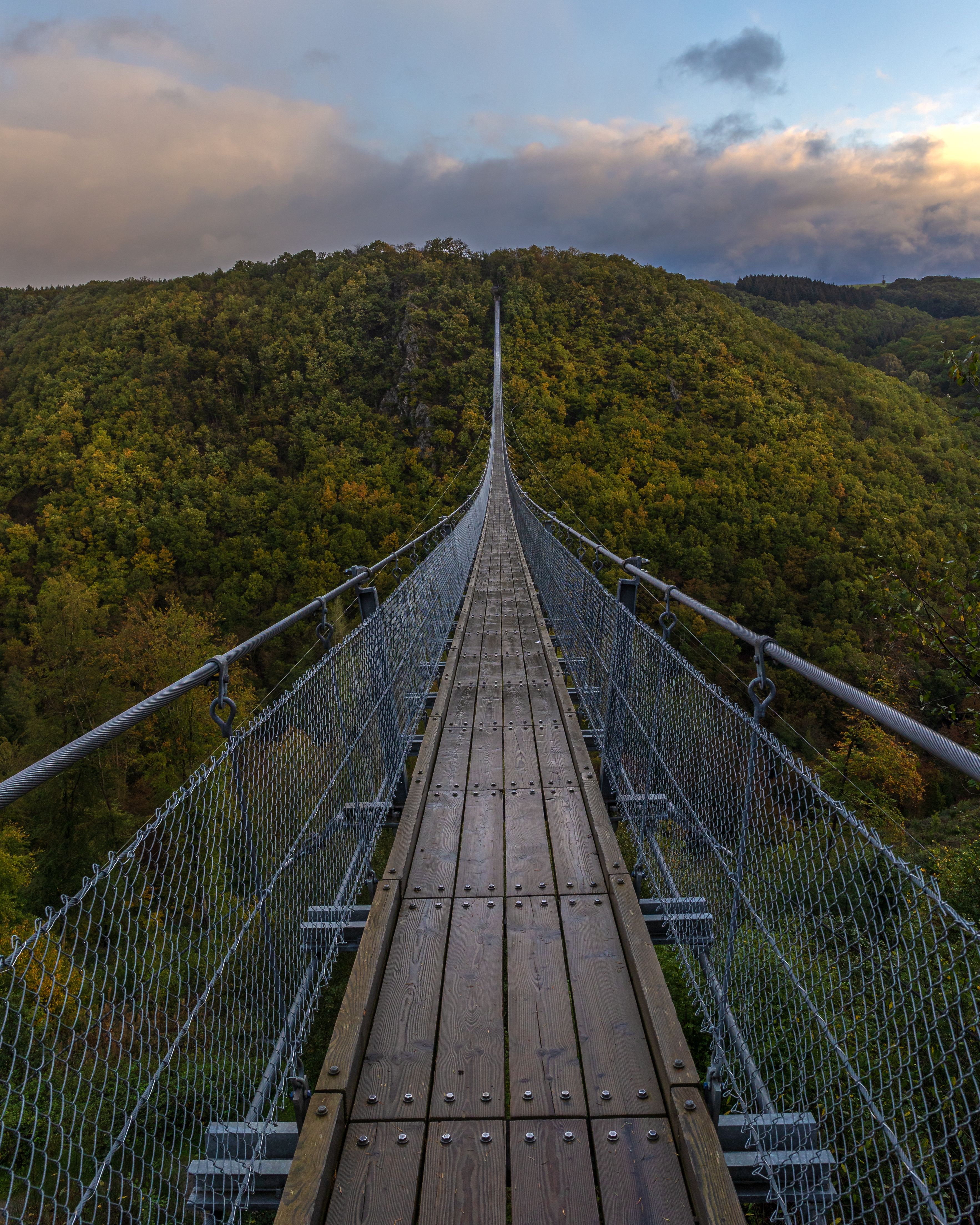 Geierlay Suspension Bridge in Sosberg, Germany · Free Stock Photo