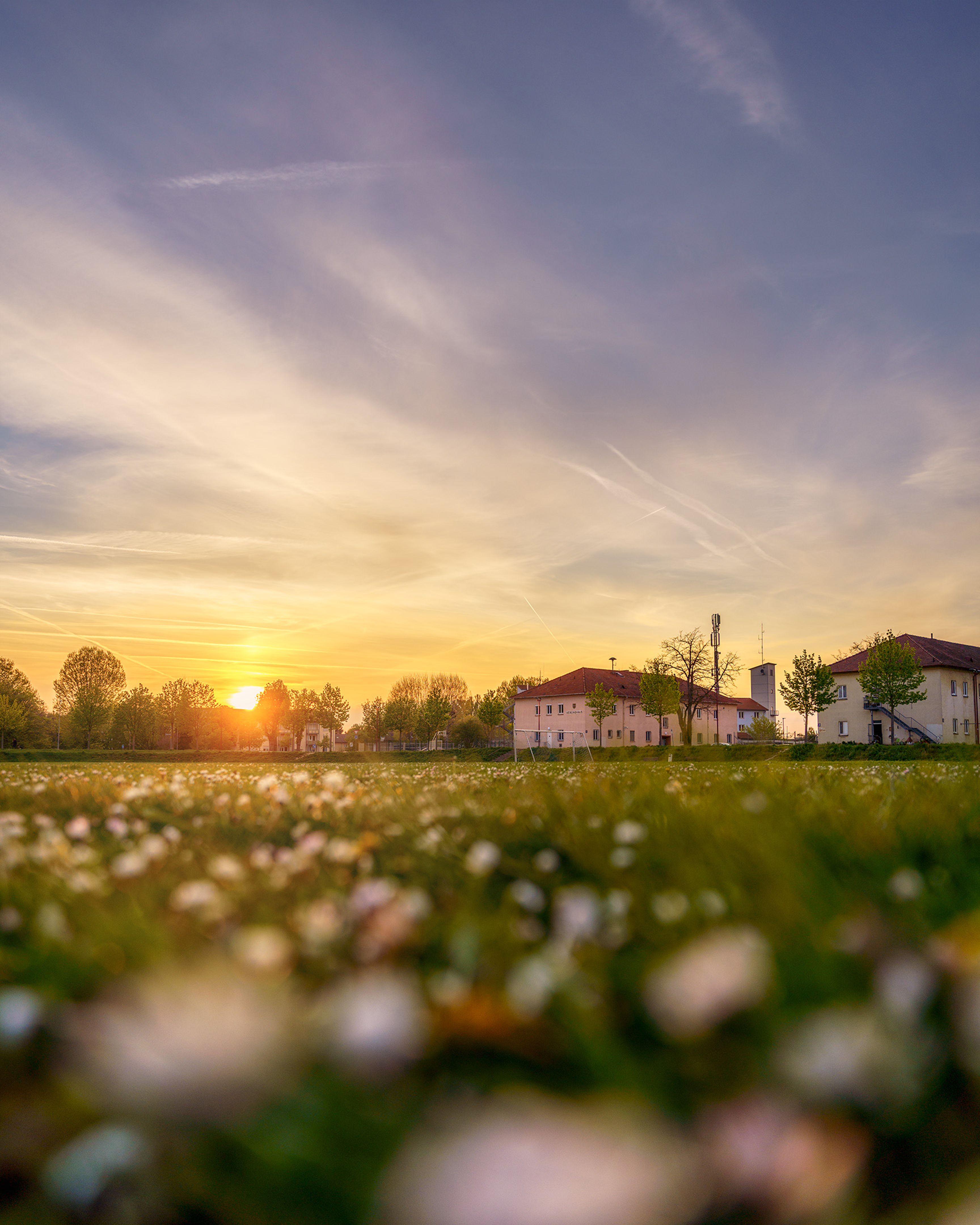 Grass Field with Buildings in the Background · Free Stock Photo