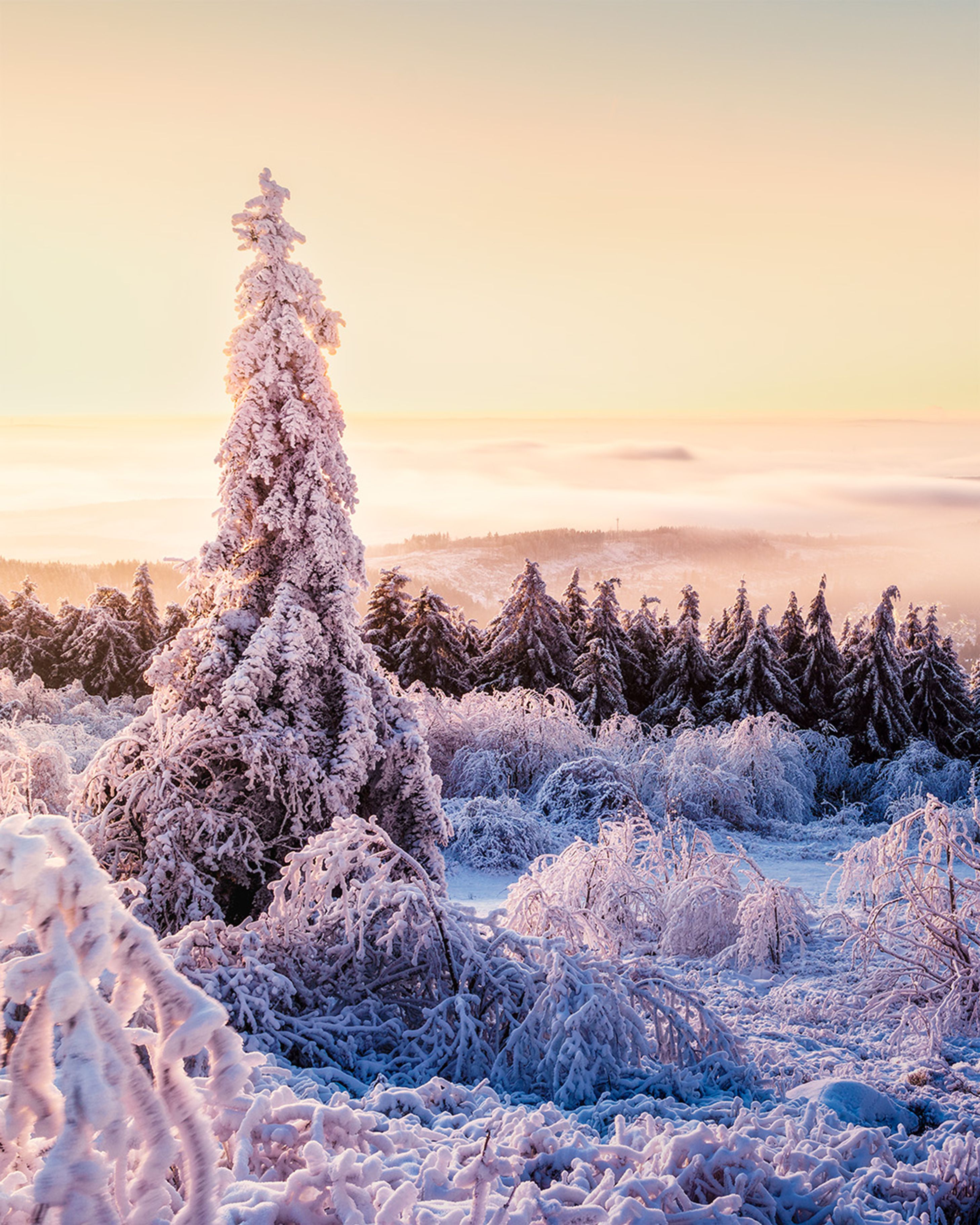 Snow Videos Photos, Download The BEST Free Snow Videos Stock Photos ...