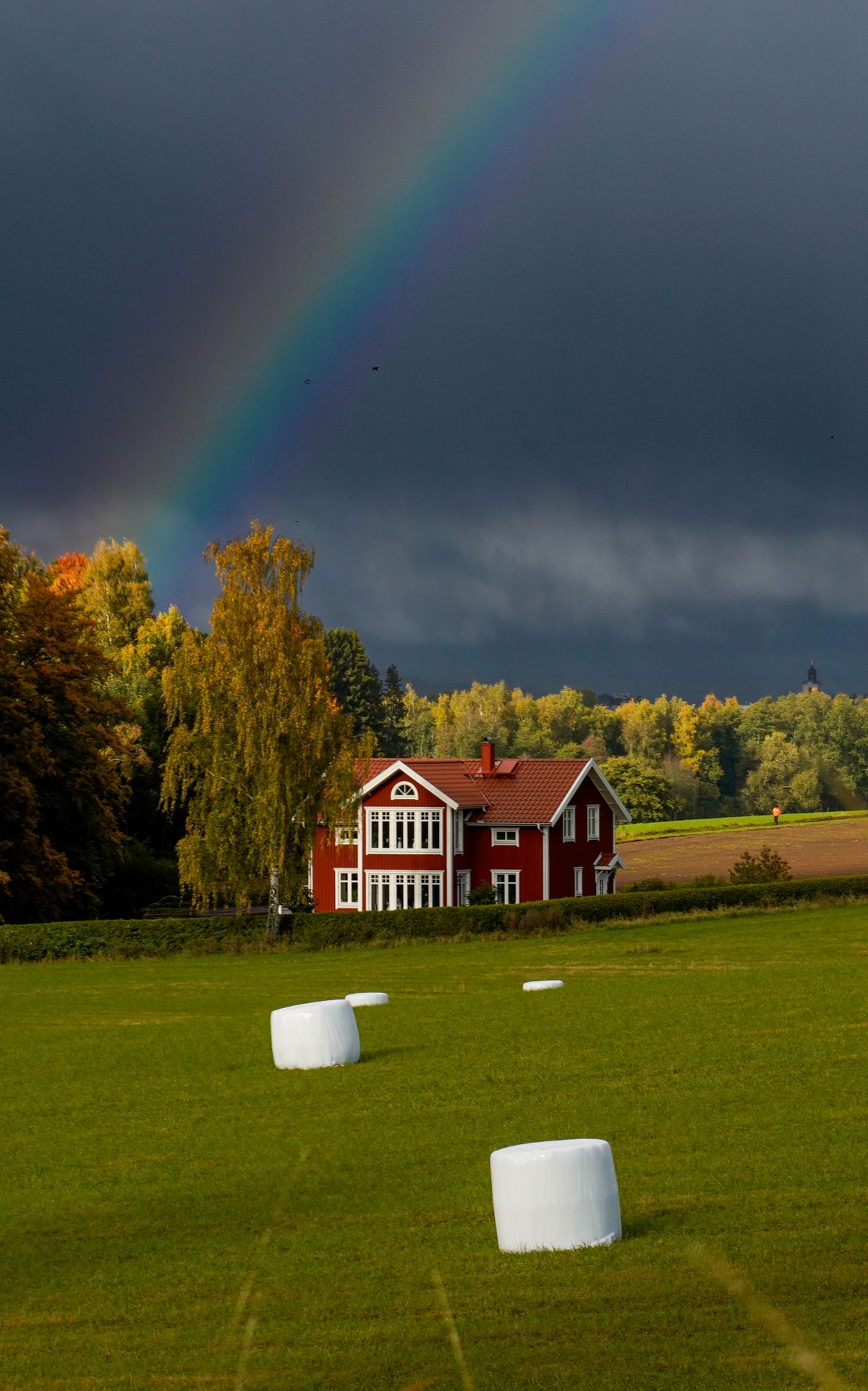 Rainbow Tv Series Photos, Download The BEST Free Rainbow Tv Series ...