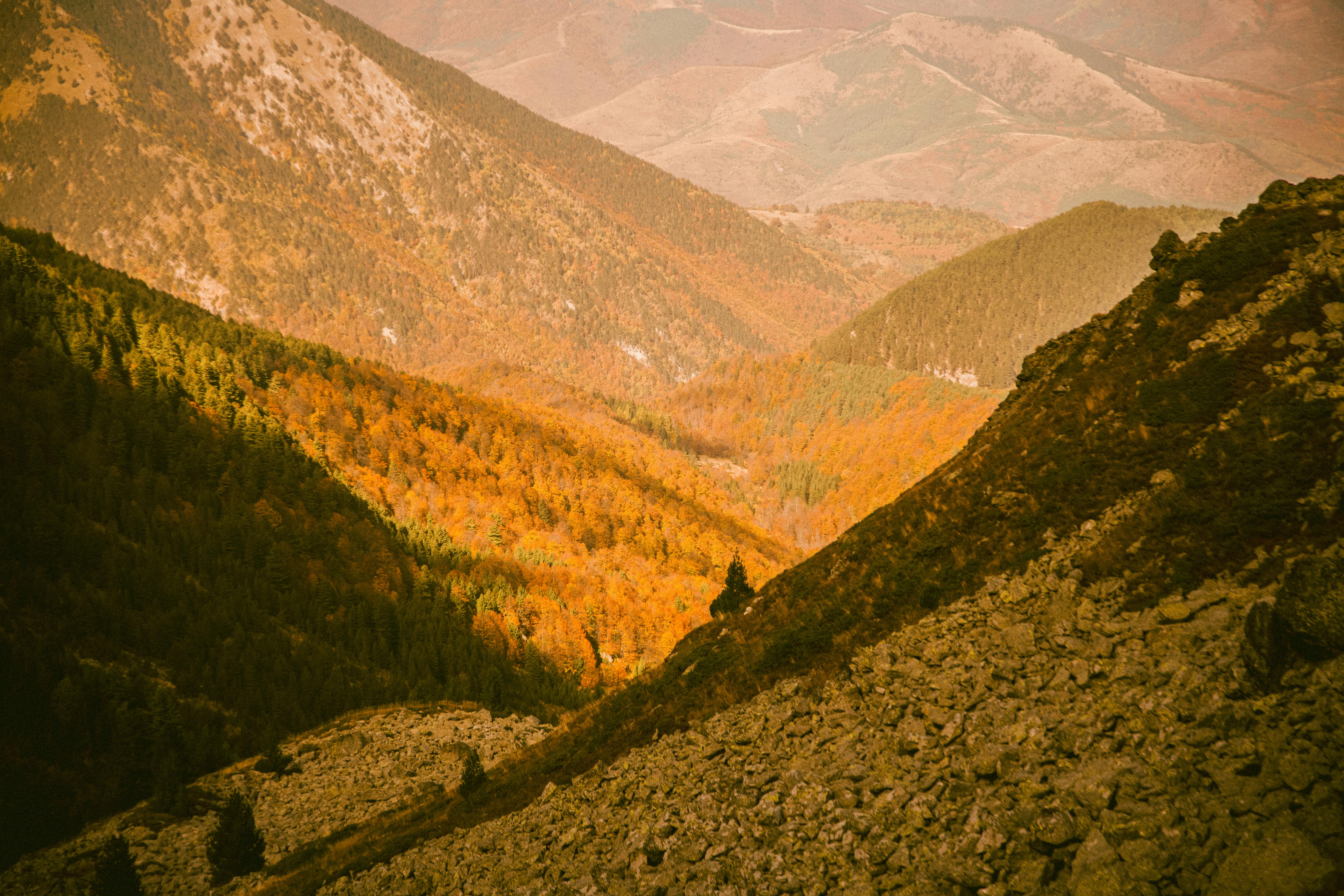 Orange Toned Image of Mountains with Forests · Free Stock Photo