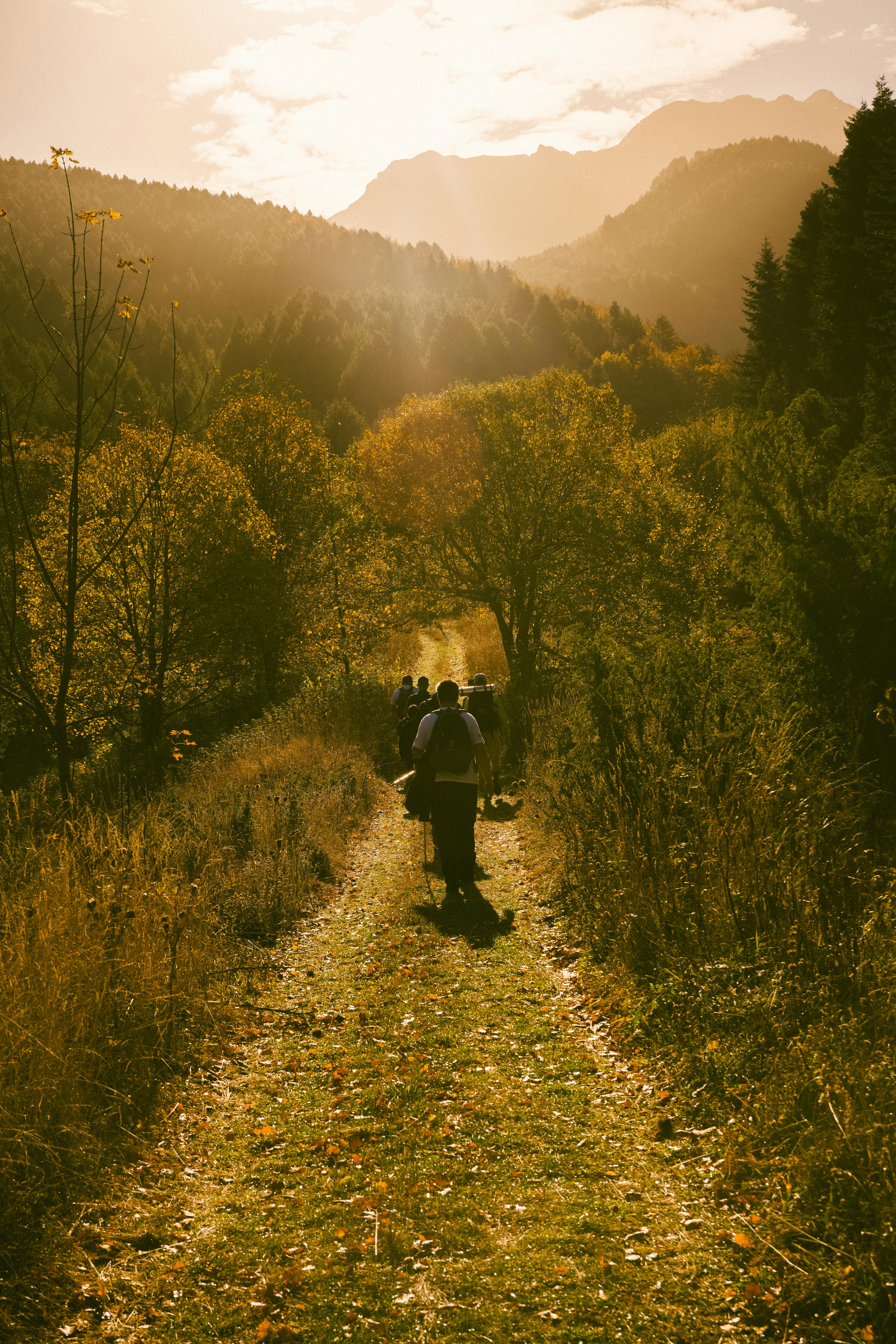 People on a Path in Forest in Sunlight · Free Stock Photo