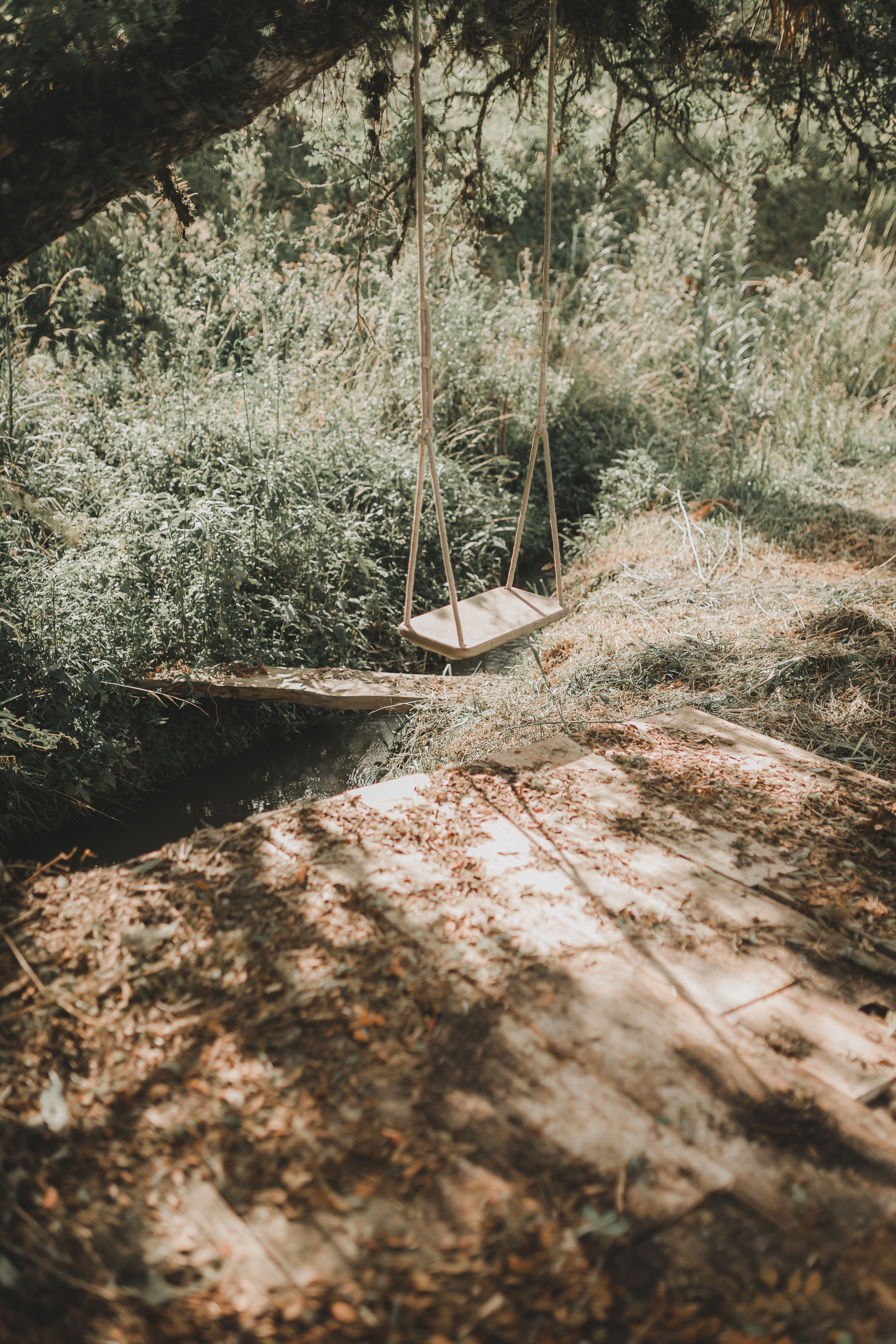 Tree Swing Wallpaper