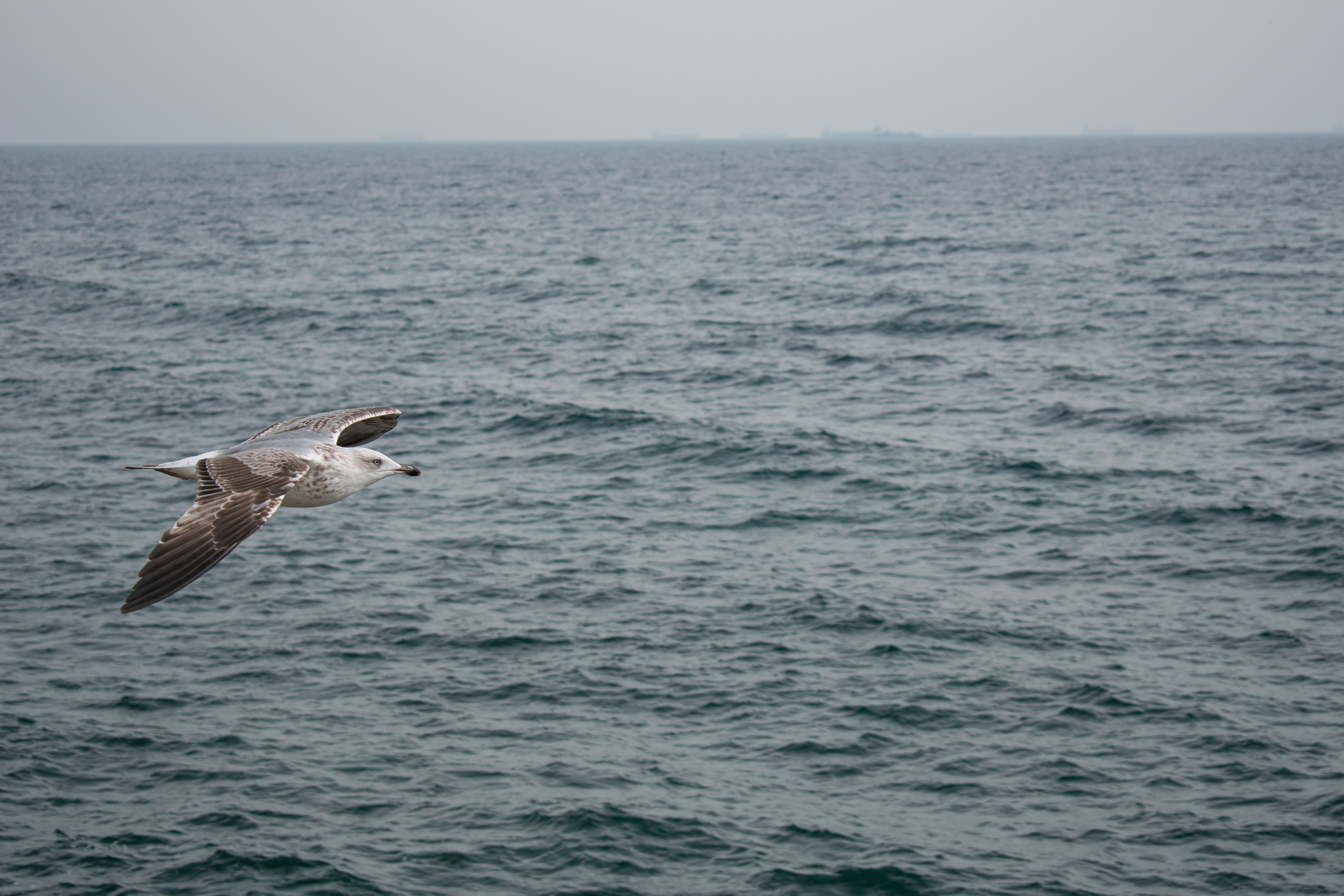 Ionut Bogdan Giurgea - Photography