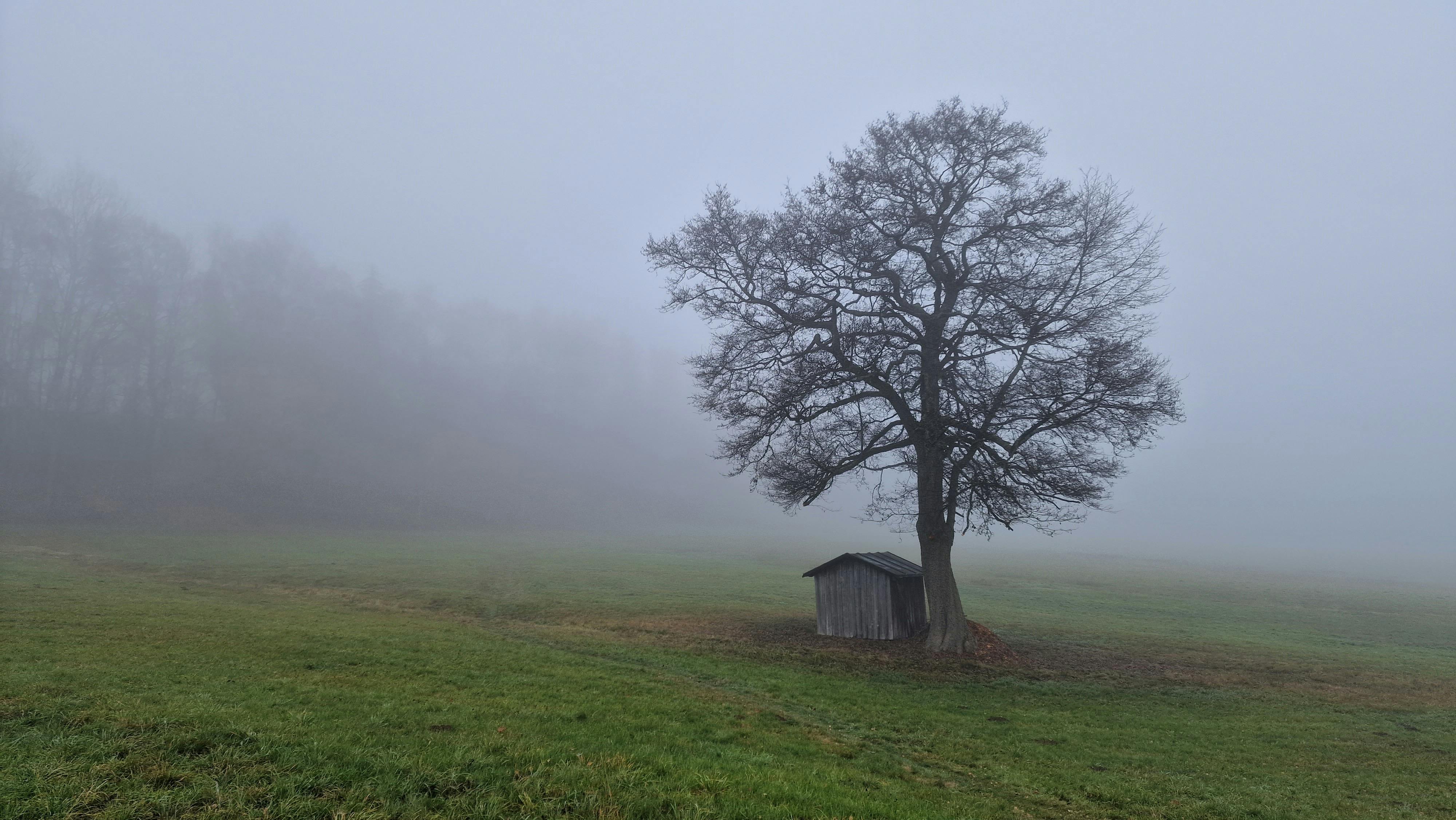 Single Doctor Photos, Download The BEST Free Single Doctor Stock Photos ...