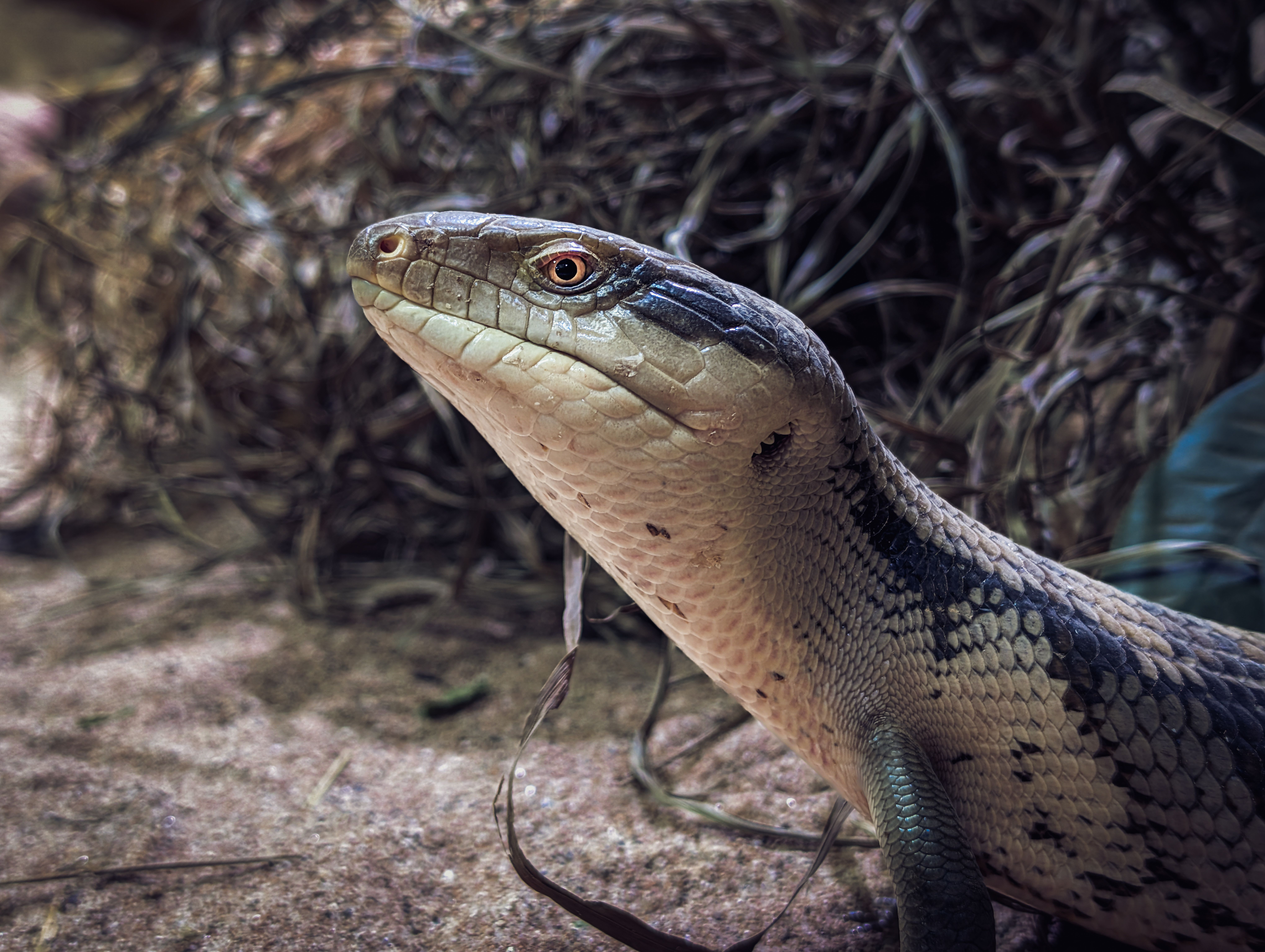 5+ Fotos y Imágenes de Giga scalewallpapers Gratis · Banco de Fotos Gratis