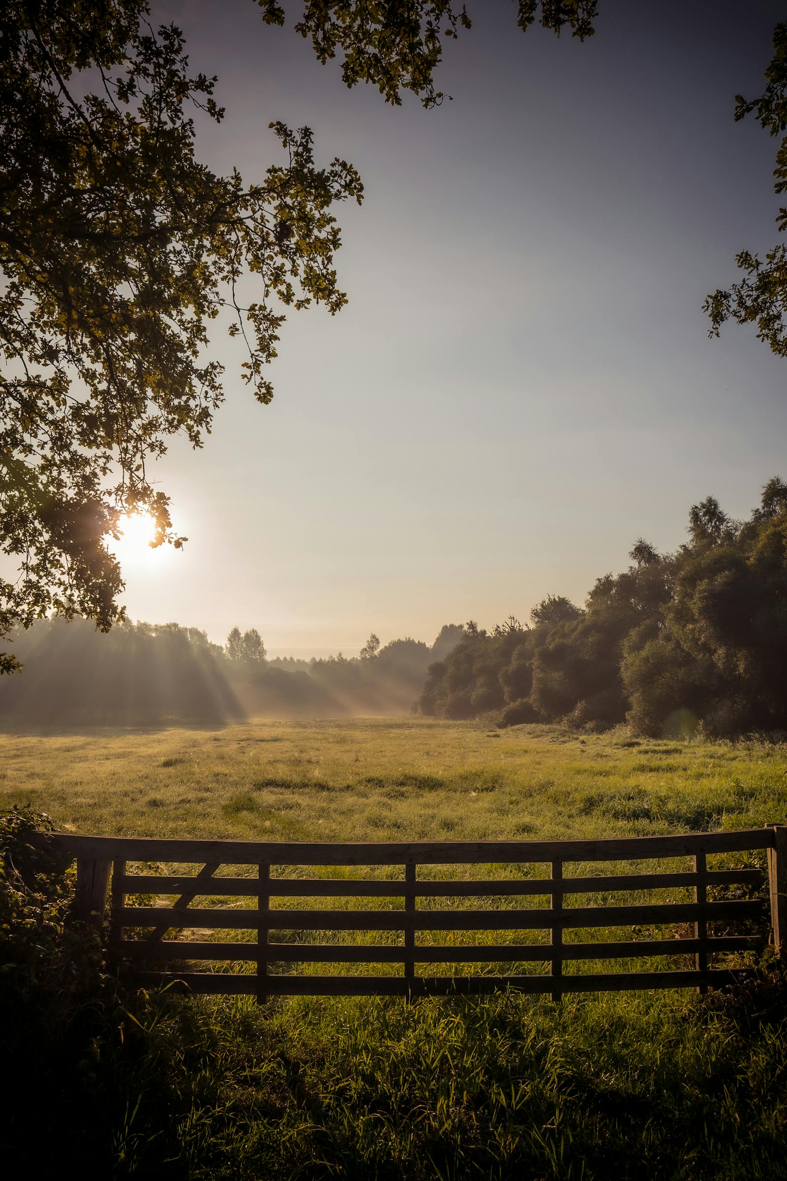 Gate To Pasture Photos, Download The BEST Free Gate To Pasture Stock ...