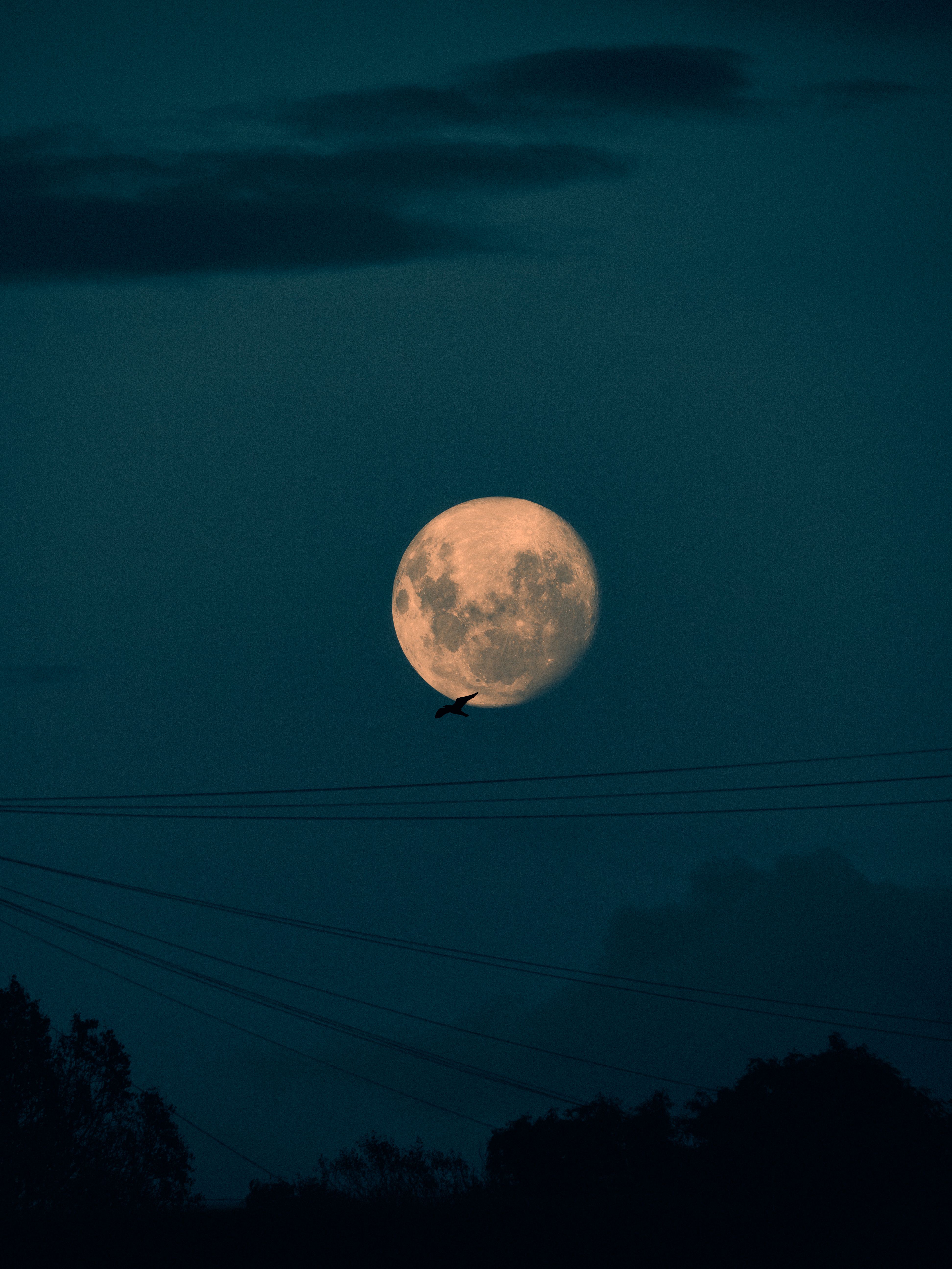 Tumblr Photography Moon