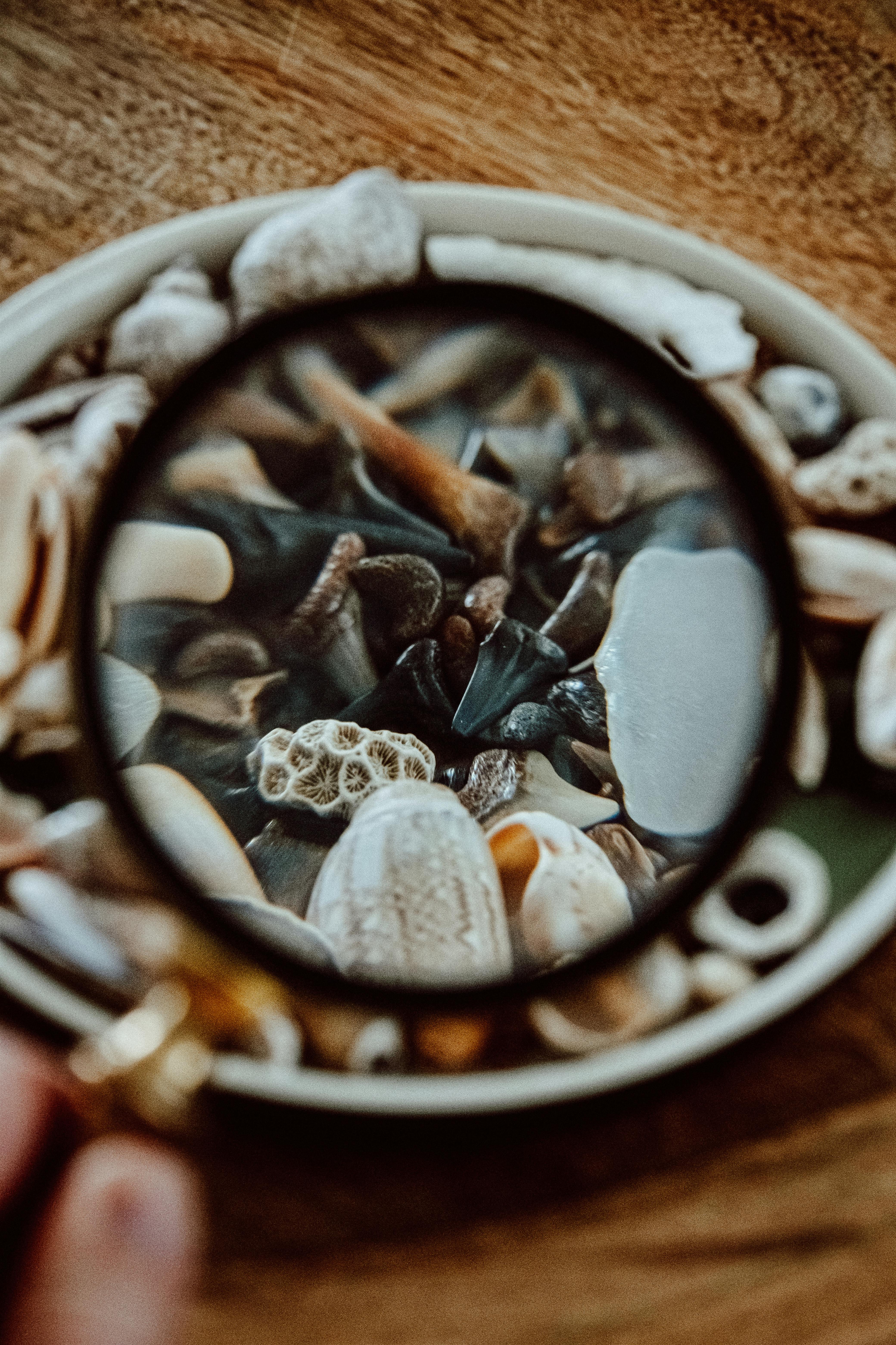 Magnifying Glass and Seashells · Free Stock Photo