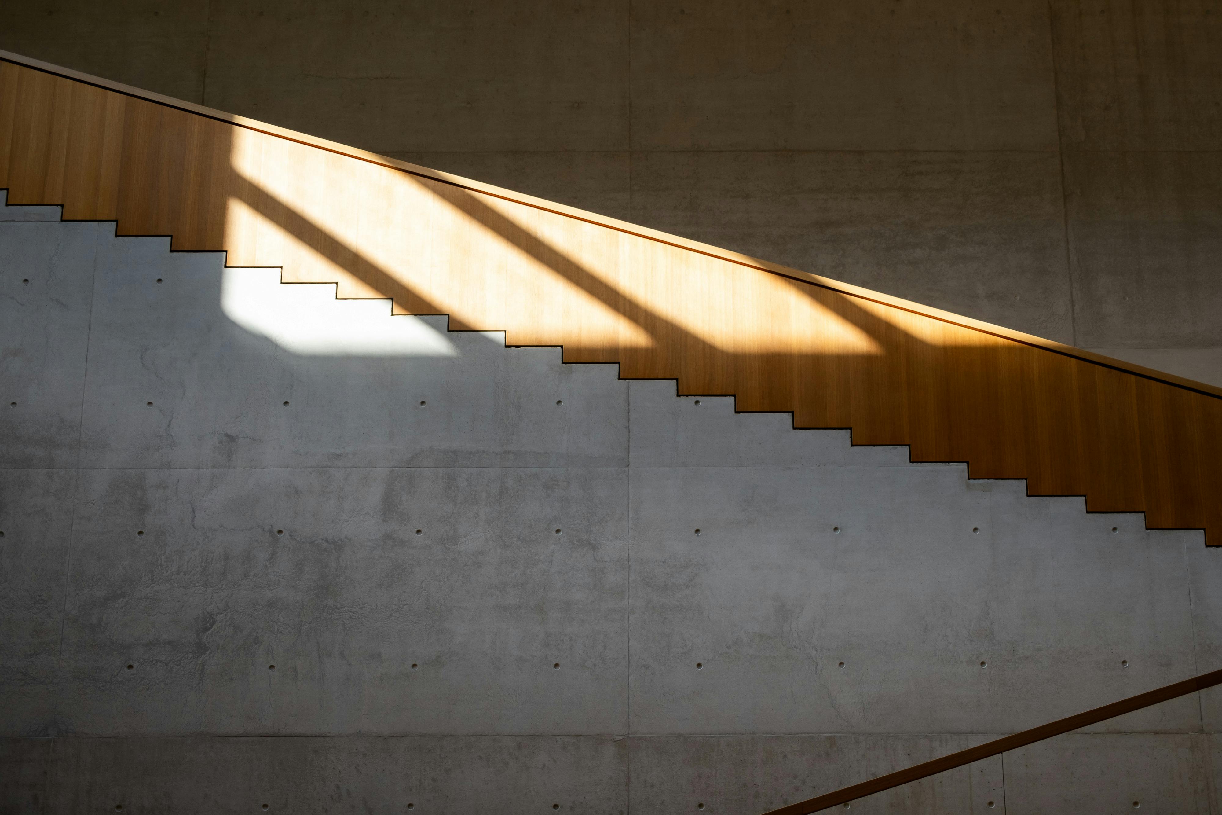 The Definitive Guide to Bond Insurance Essentials - Palmetto Surety ...