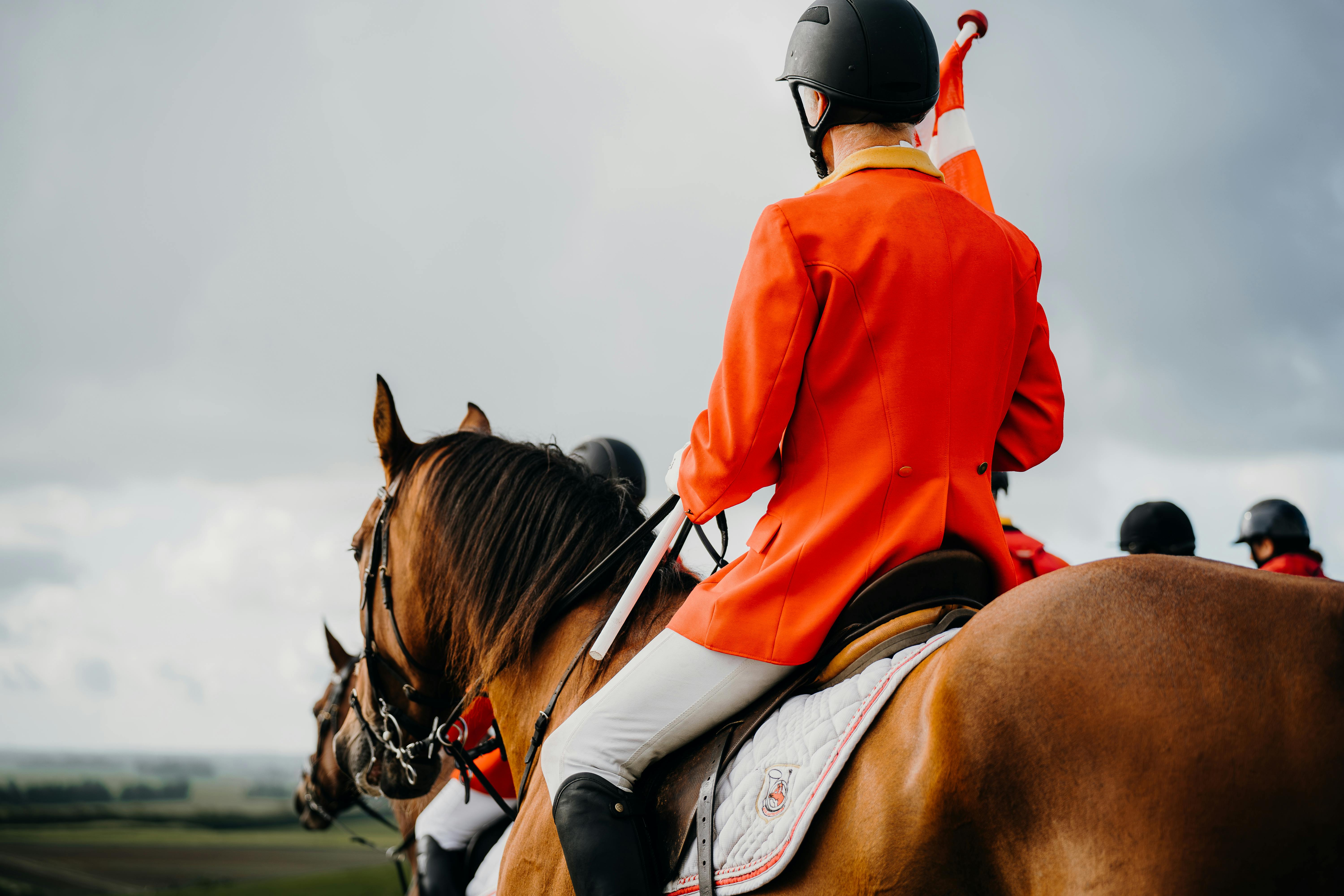 Person in Red Blazer Horseback Riding · Free Stock Photo