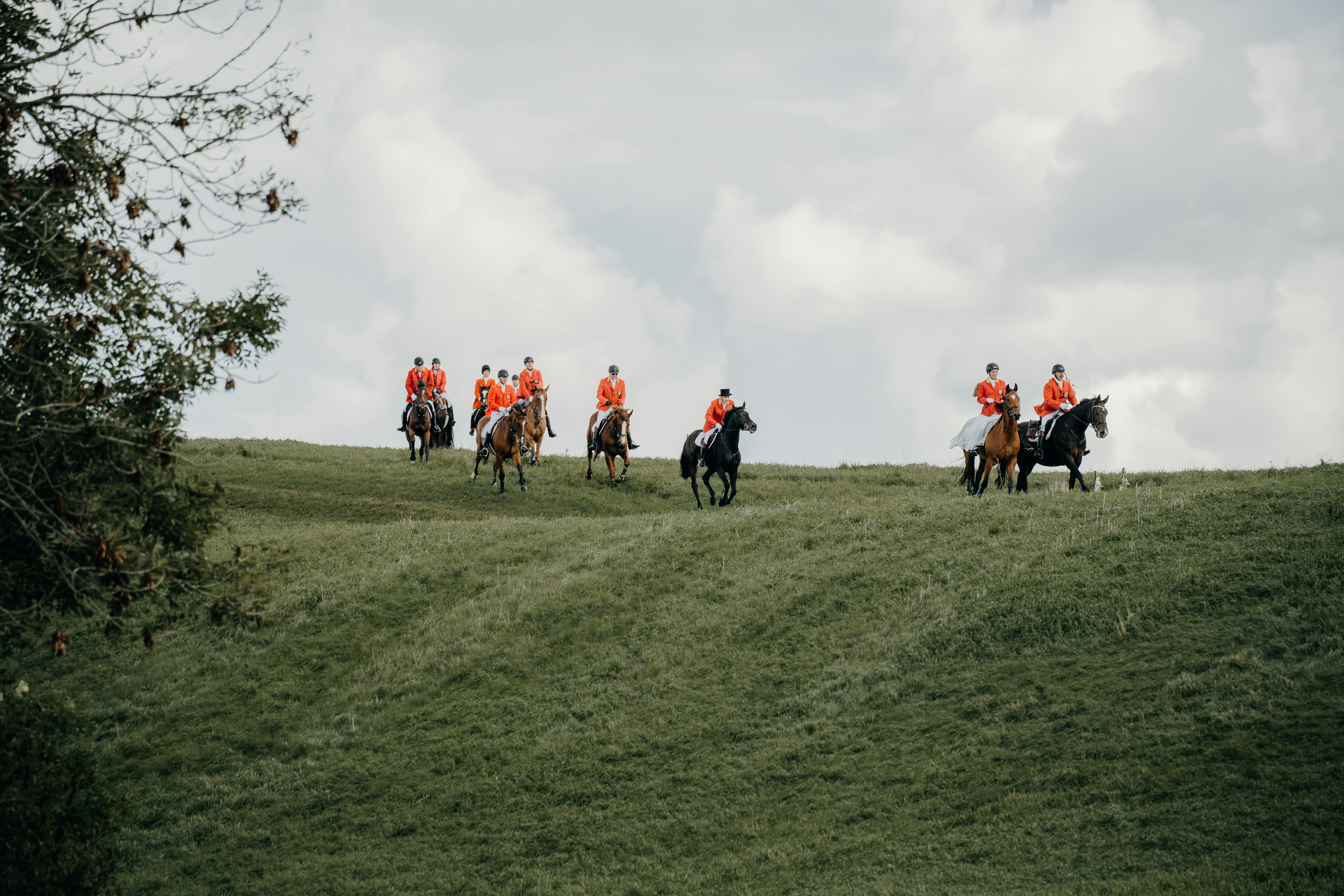 English Hunters in Red Traditional Jackets Riding Horses · Free Stock Photo