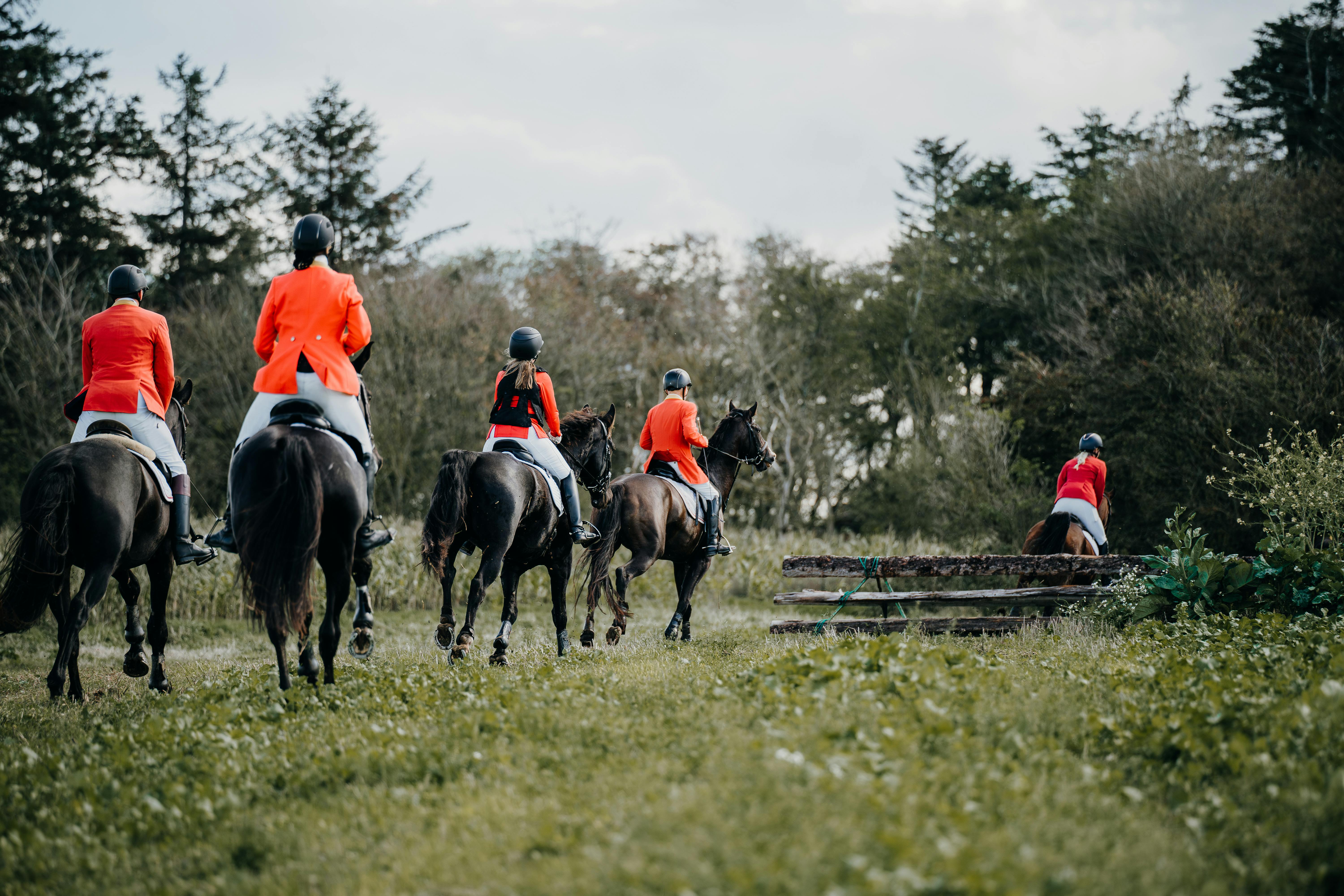 Hunters in Red Jacket Running through Classic English Landscape with ...