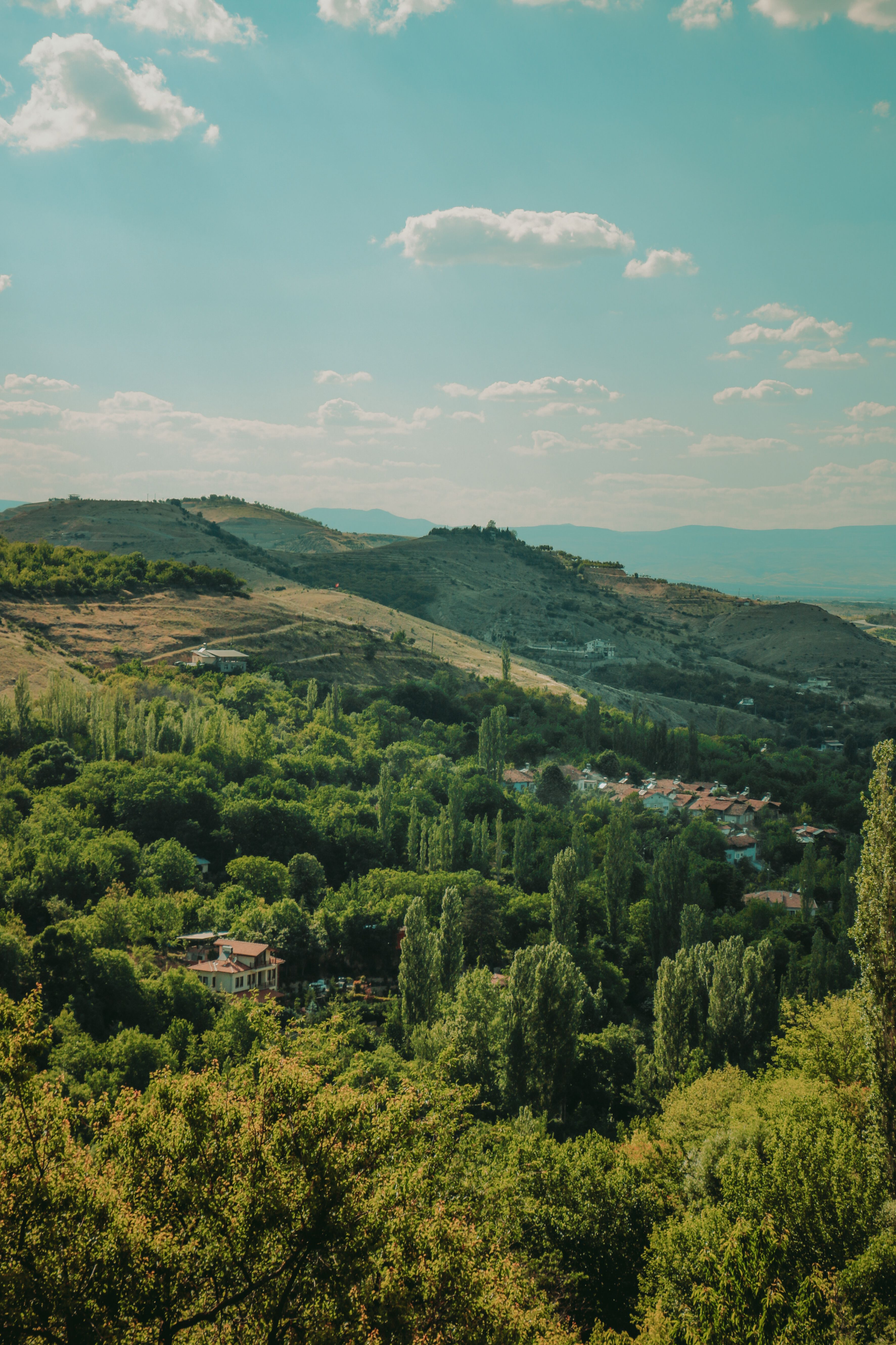 Hilly Green Landscape with Cypresses · Free Stock Photo