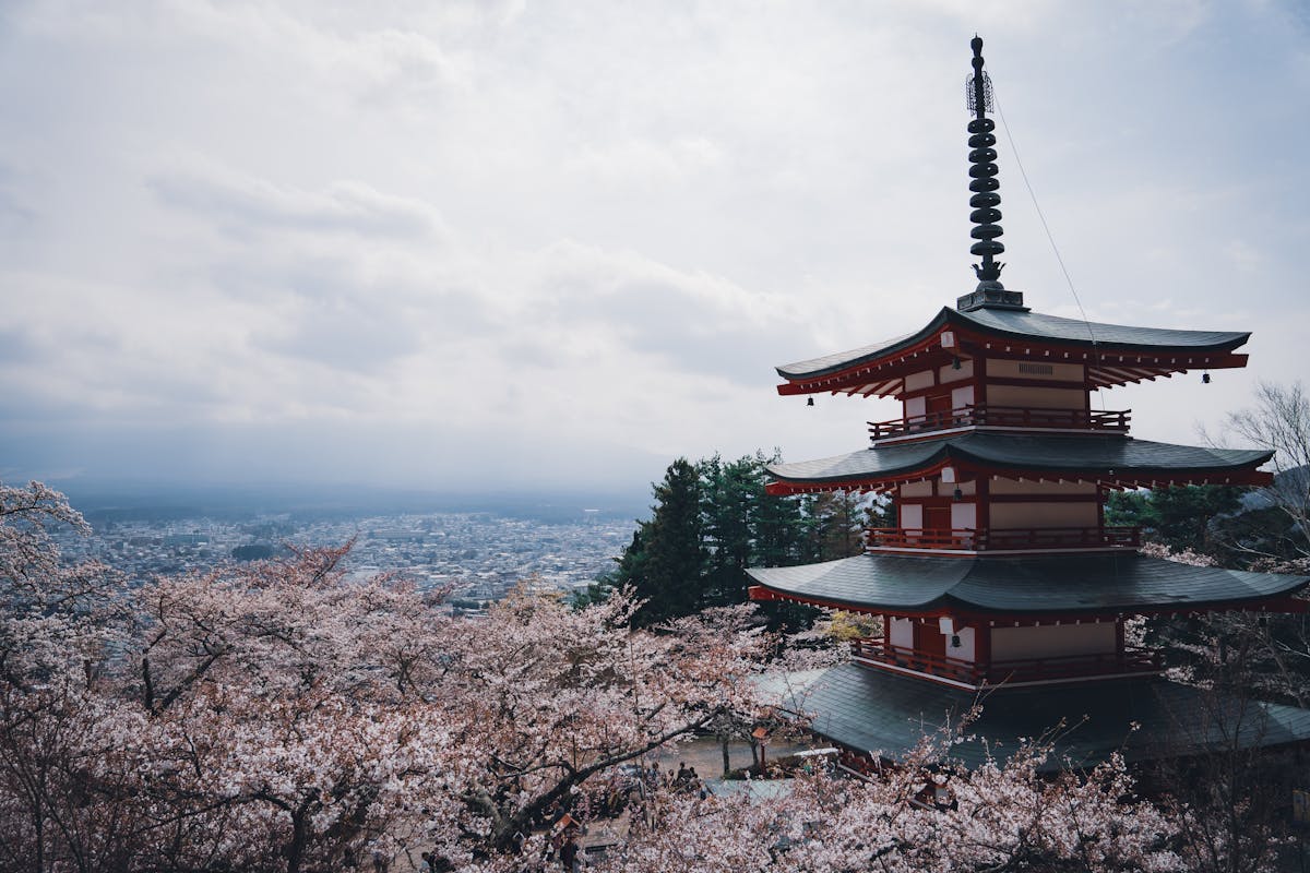 Japan Images Photos, Download The BEST Free Japan Images Stock Photos ...