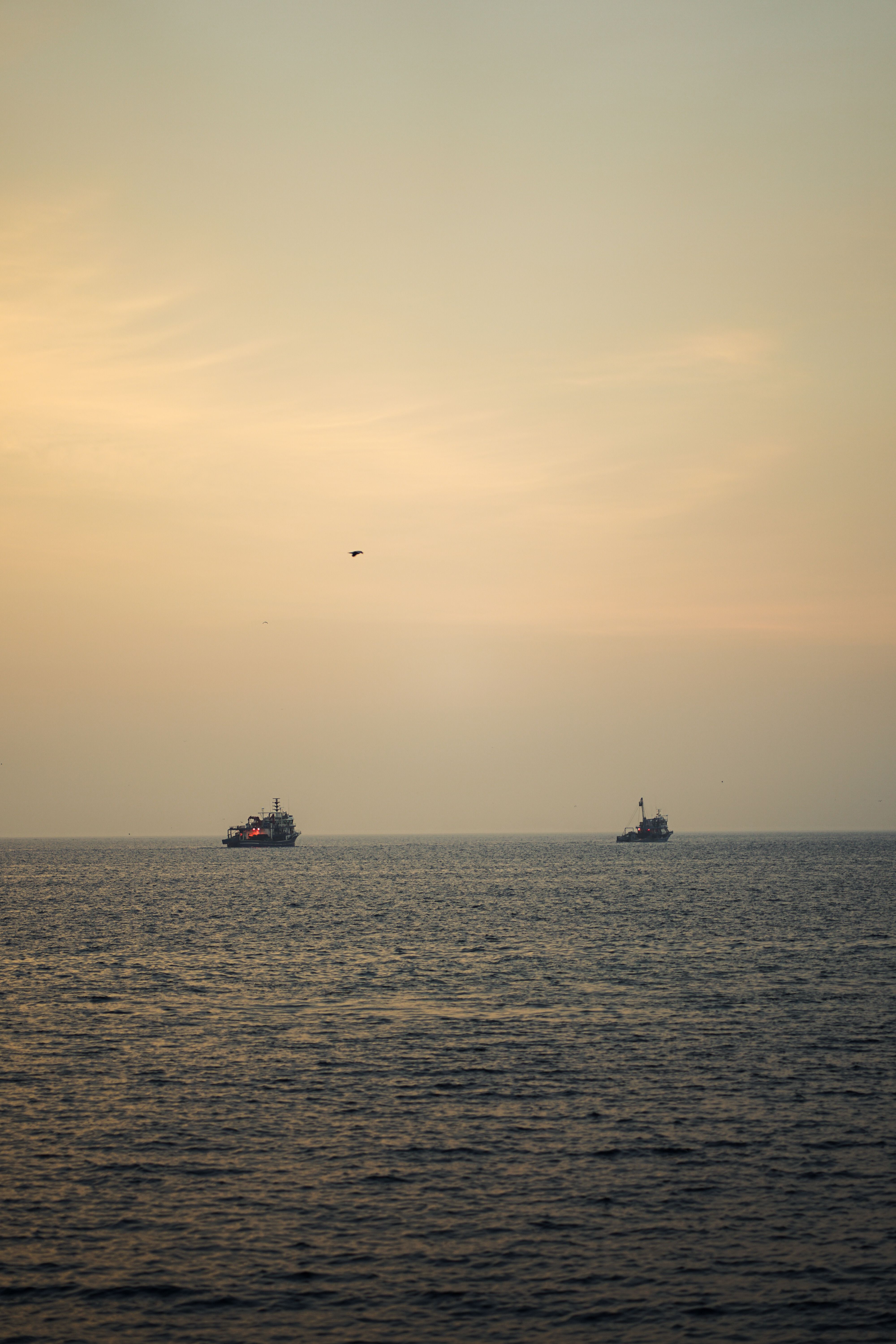 Boats Swimming in a Sea · Free Stock Photo