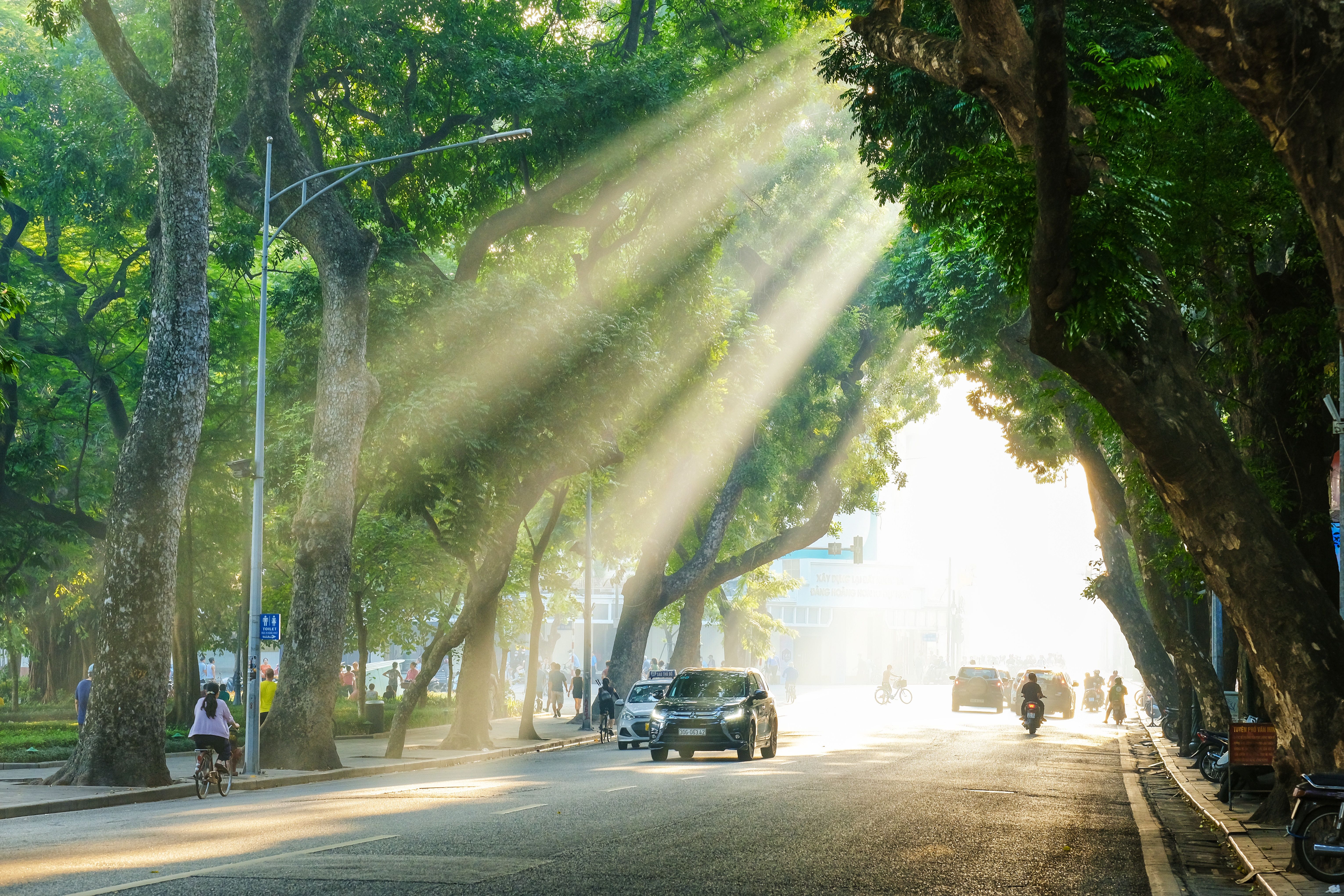 Cars on a Road in Sunlight · Free Stock Photo
