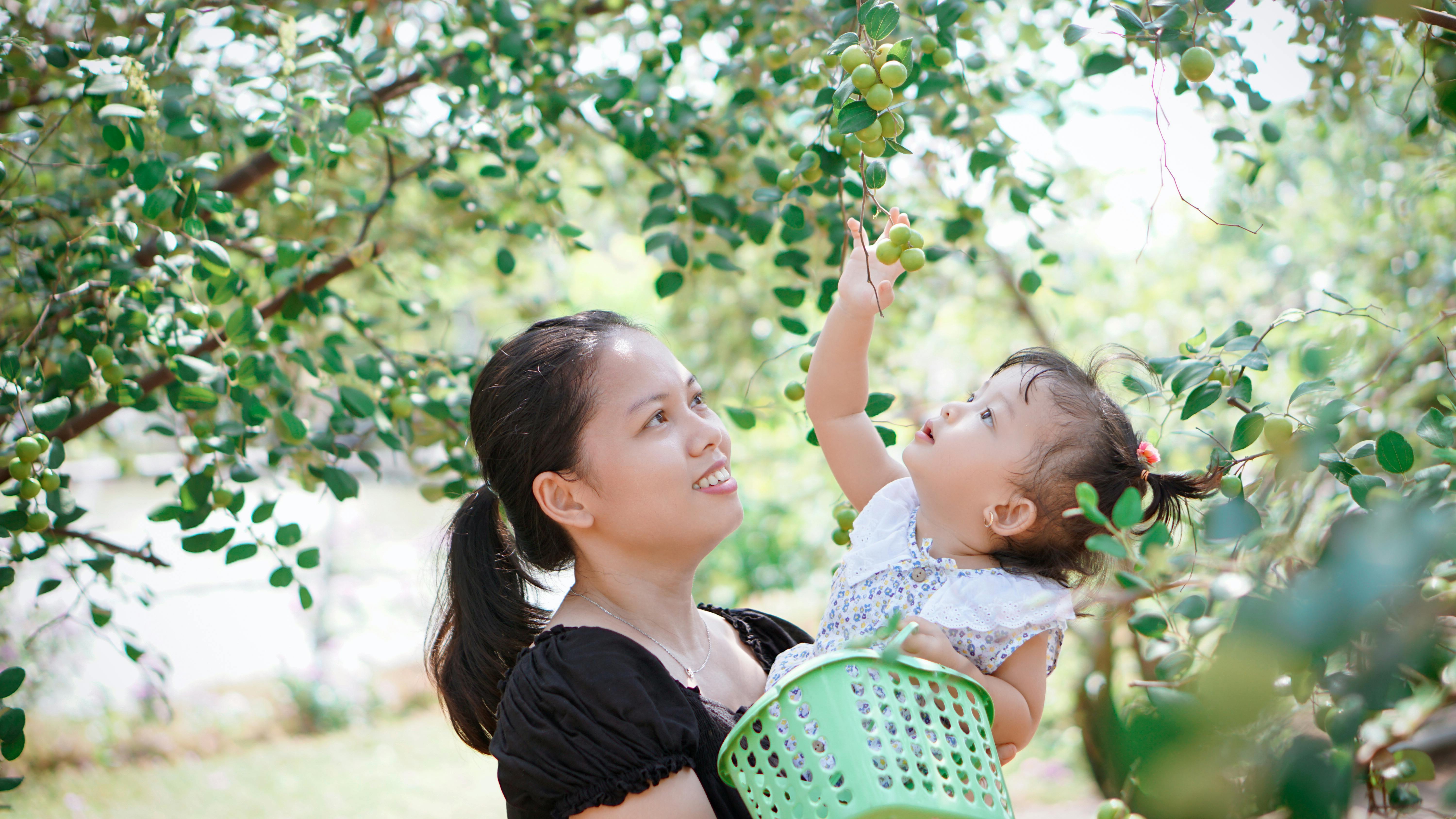 Family [Pick Photos, Download The BEST Free Family [Pick Stock Photos ...