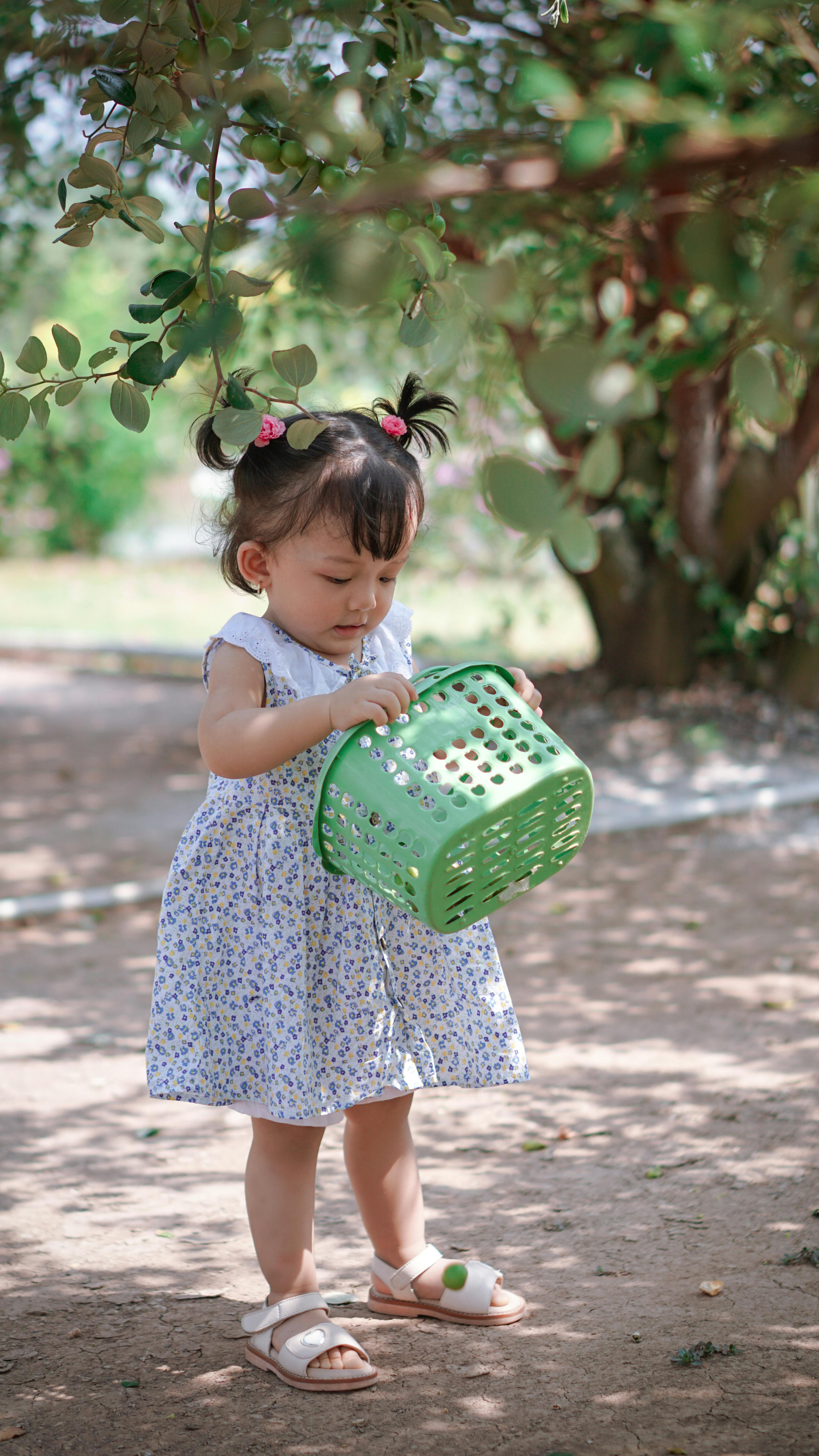 Child with Basket in Countryside · Free Stock Photo