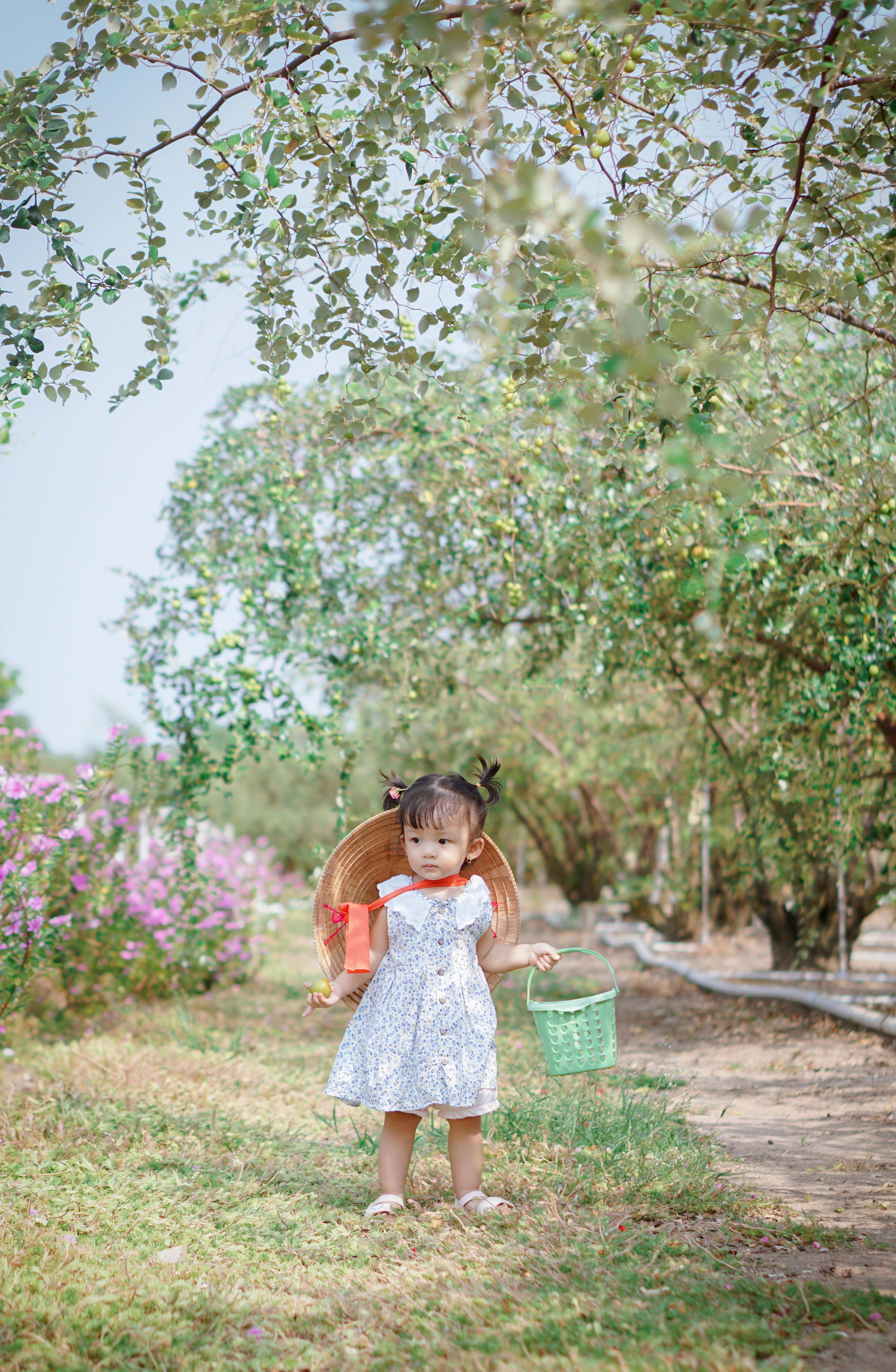 Spring Portugal Photos, Download The BEST Free Spring Portugal Stock ...