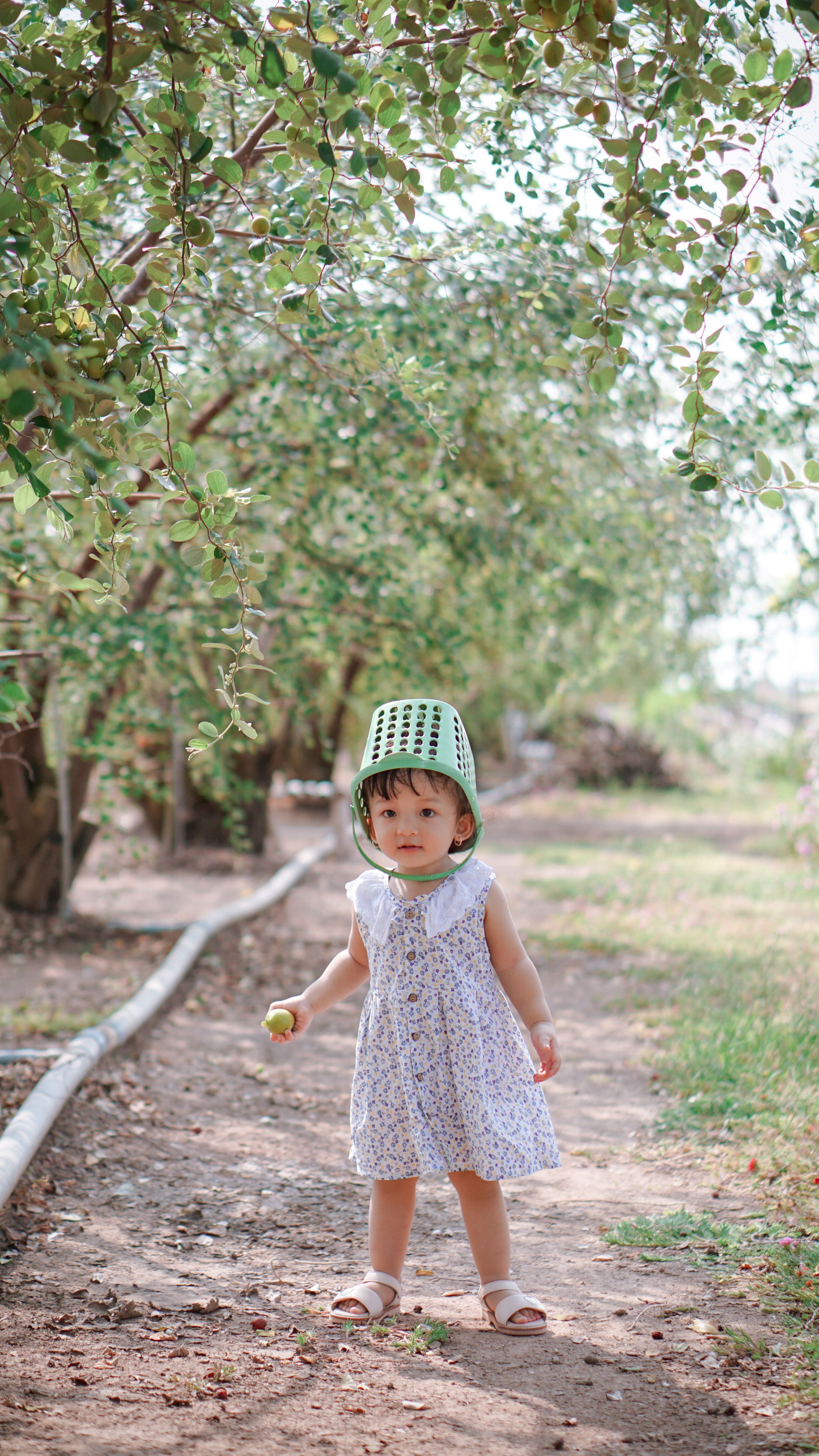 Baby Girl with a Bucket in an Orchard · Free Stock Photo